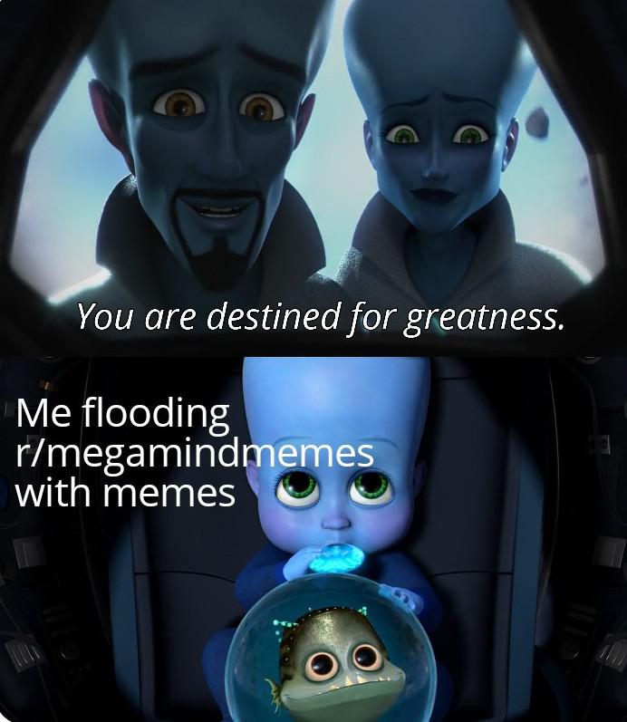 It begins... | Scrolller