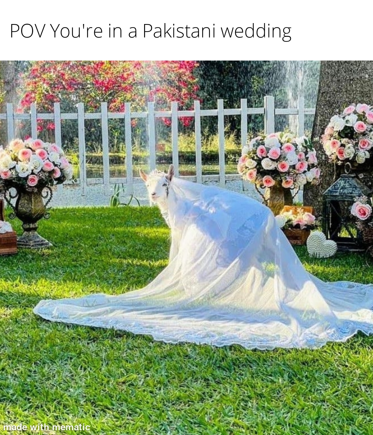 It Do be like that | Scrolller