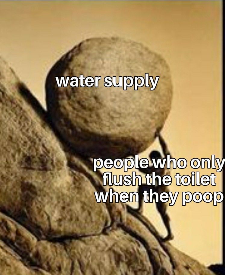 It feels so wrong to flush number 1's | Scrolller