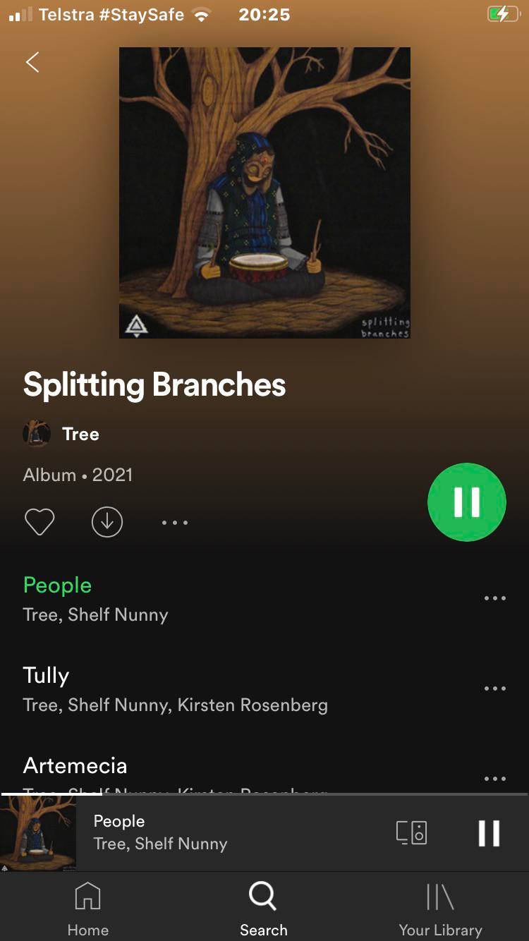 It happened. Splitting Branches is on Spotify! Every track is exactly how it should be, unlike ...