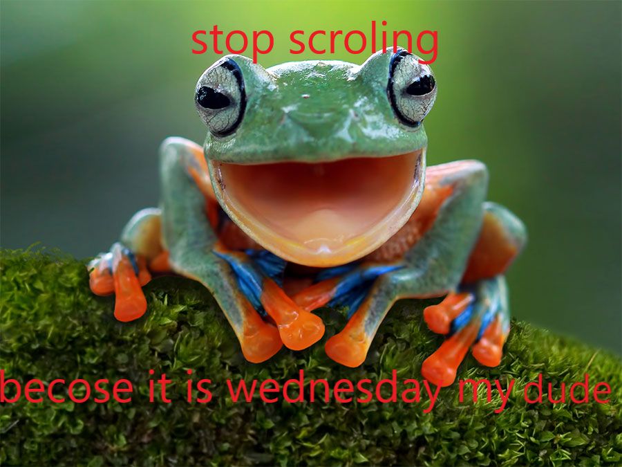 it is Wednesday my dude | Scrolller