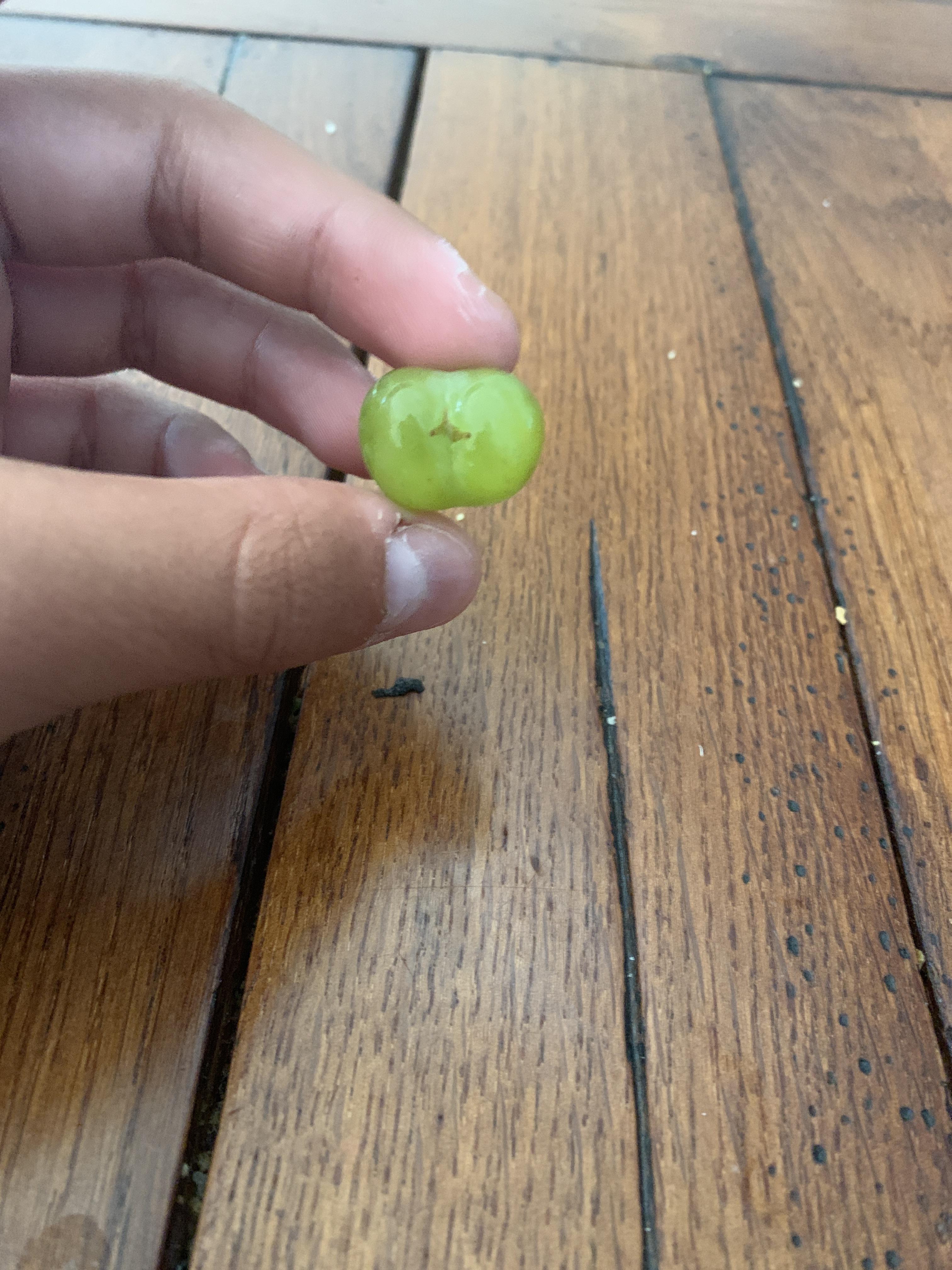 It’s a butt shaped grape 🍑🍇 | Scrolller