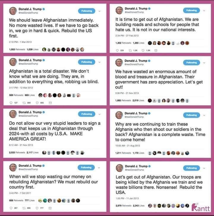 It’s all in the tweets | Scrolller