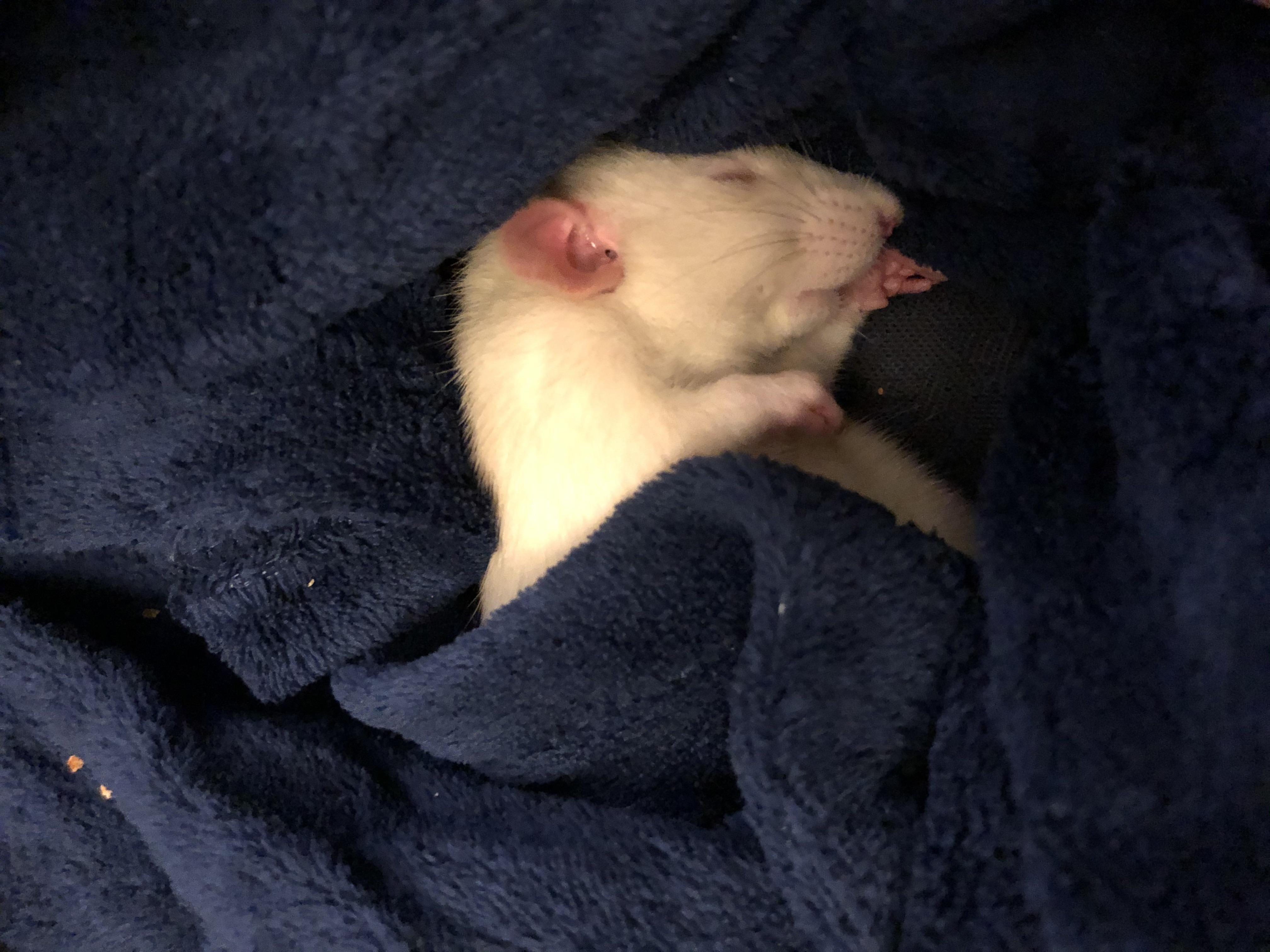 It’s been a long week! | Scrolller