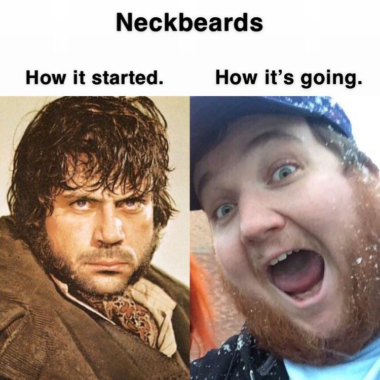 It’s evolving, just backwards | Scrolller