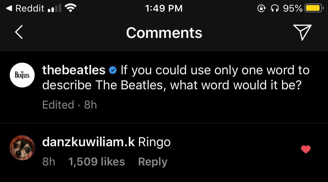 It’s just Ringo moving really fast | Scrolller