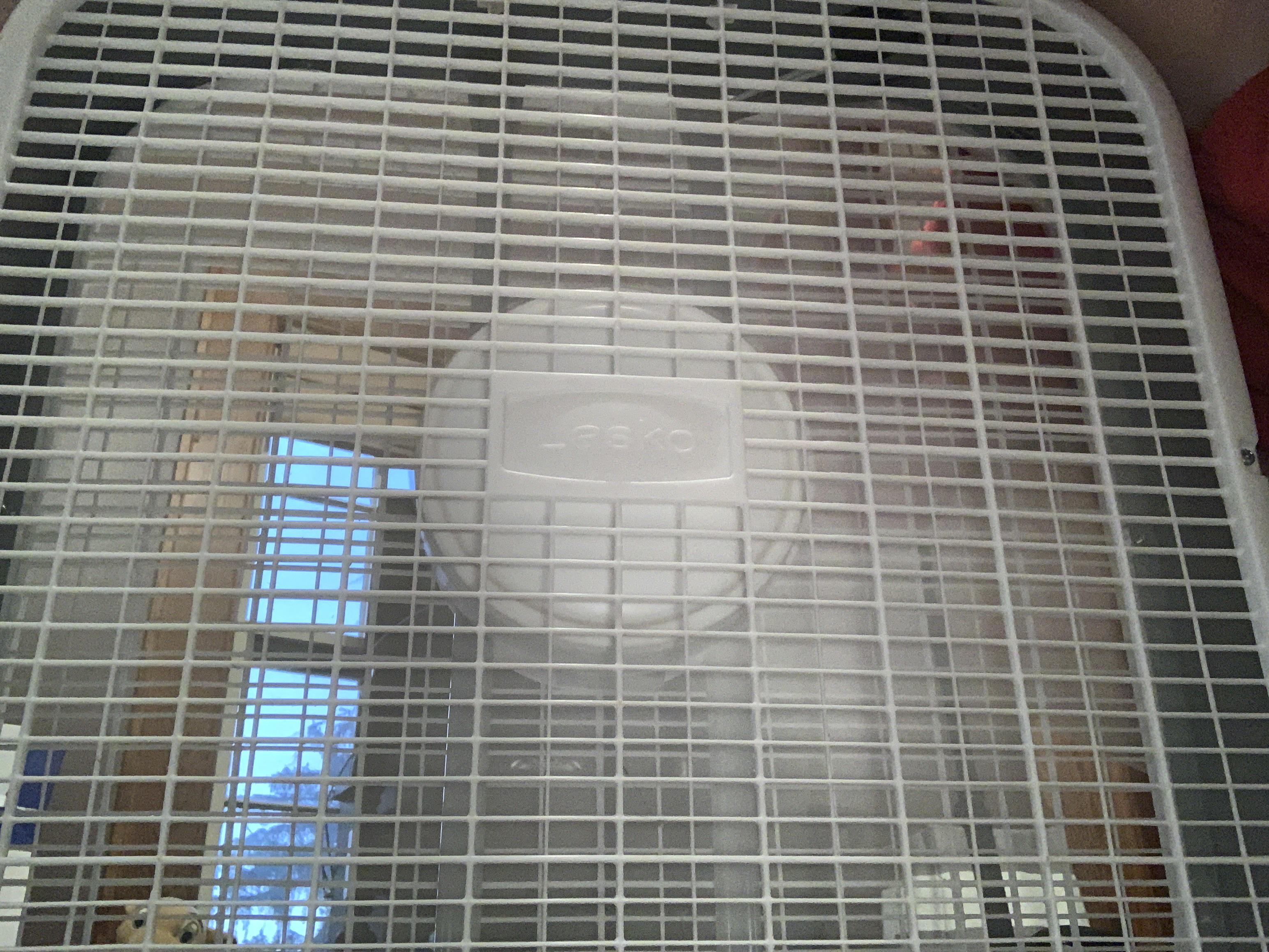 It’s so big | Scrolller