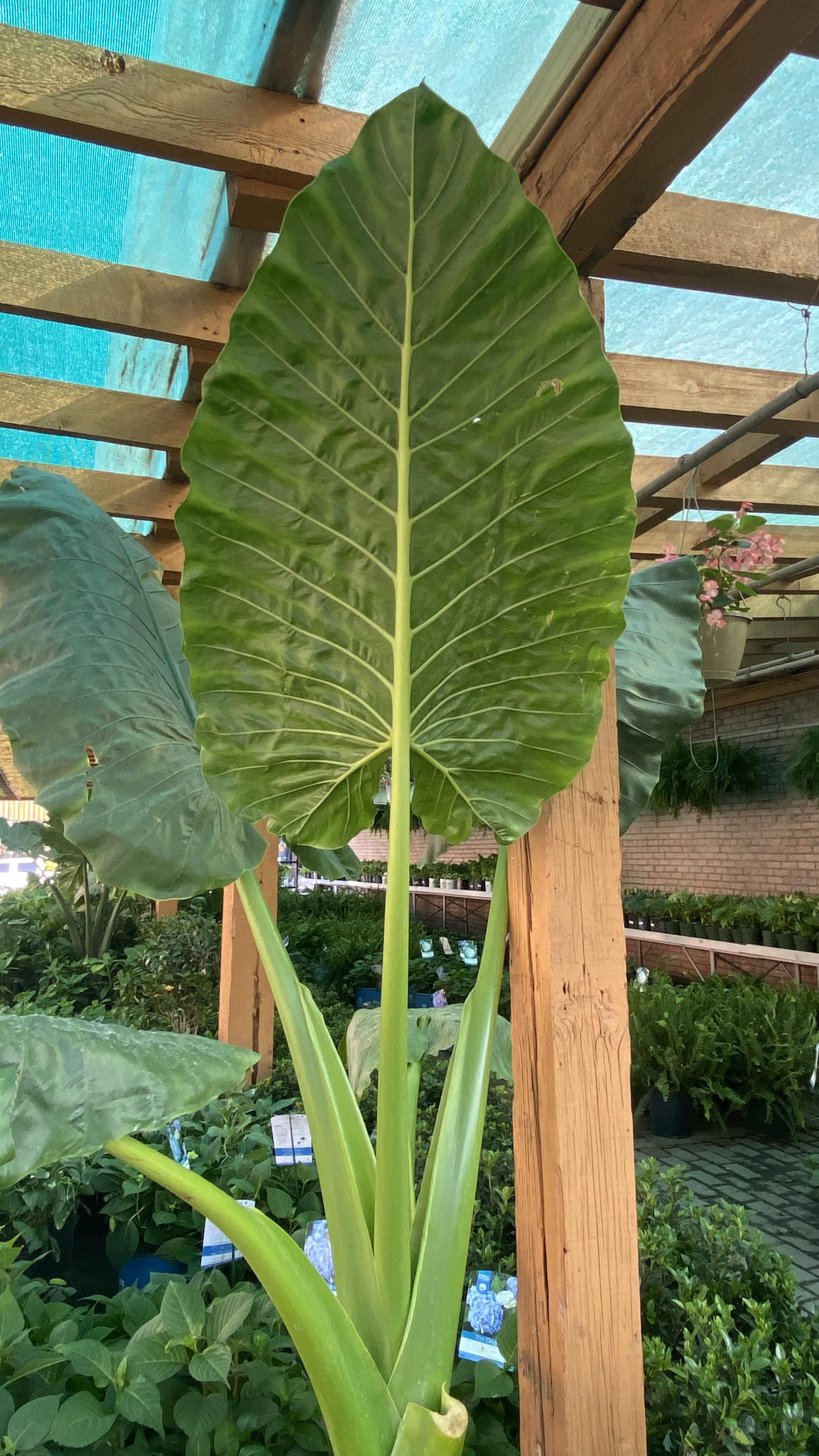 It’s Summer | Scrolller