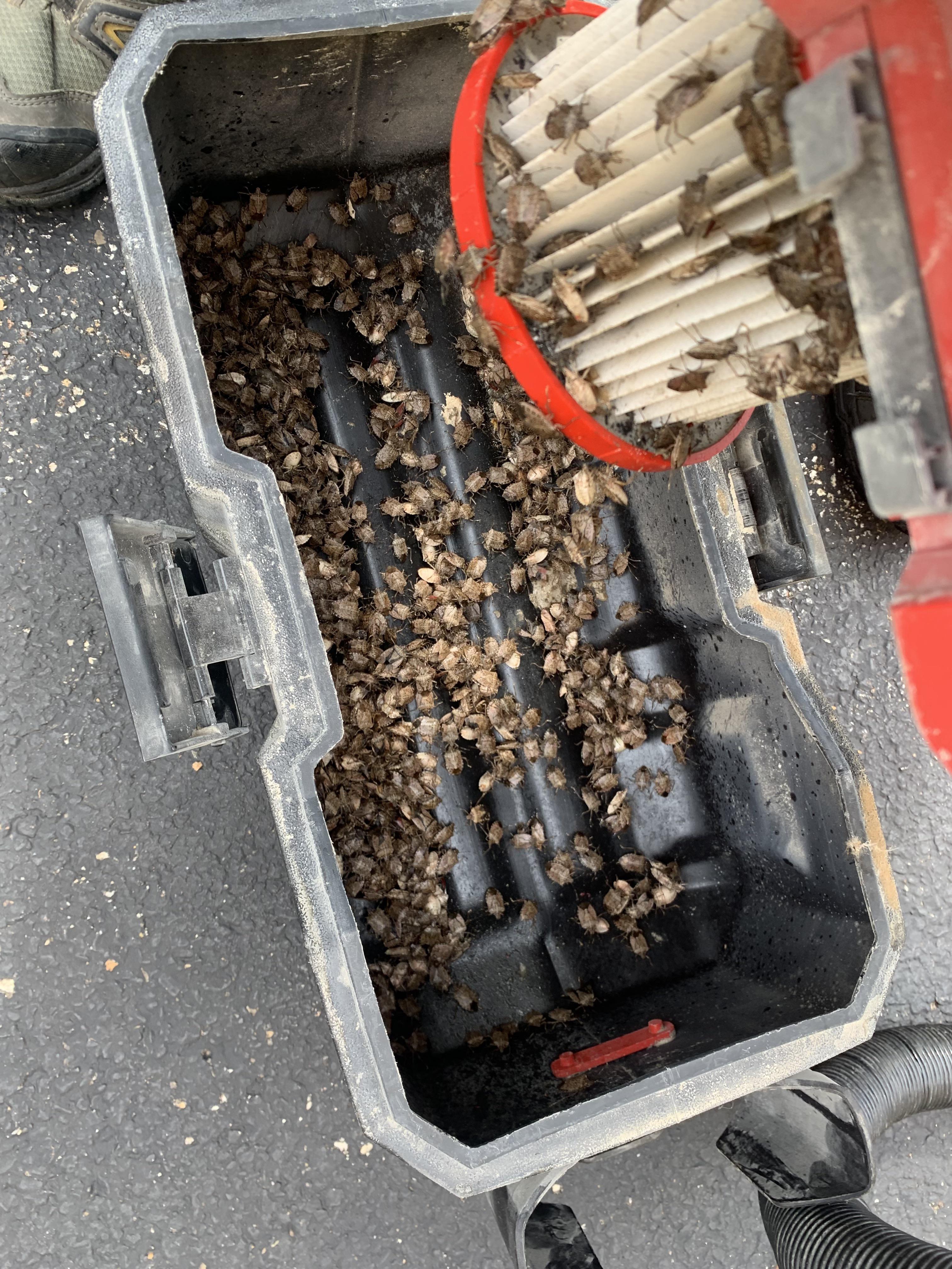 It’s that time of year | Scrolller