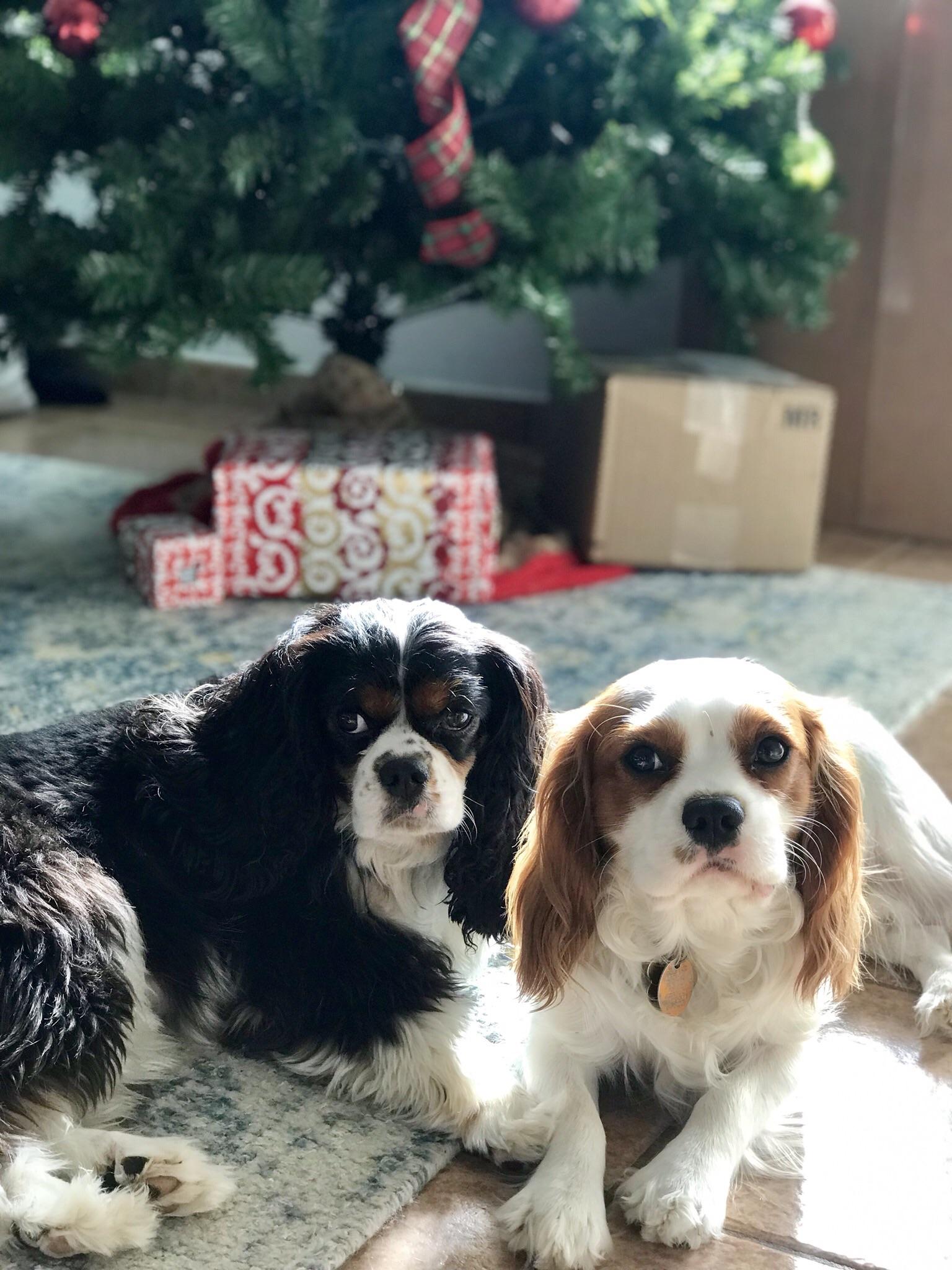 It’s the beginning of our favorite month! | Scrolller