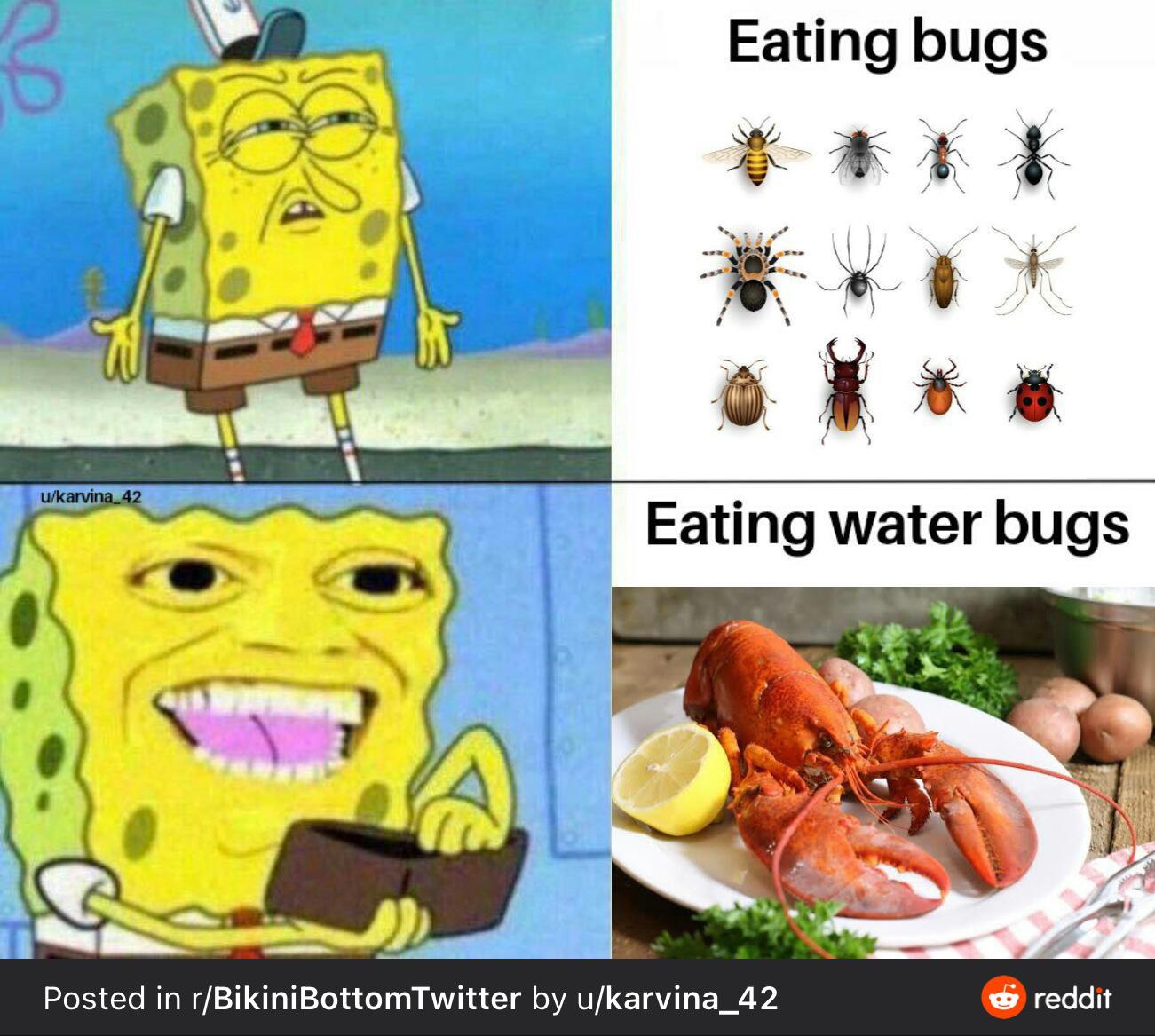 It’s true | Scrolller