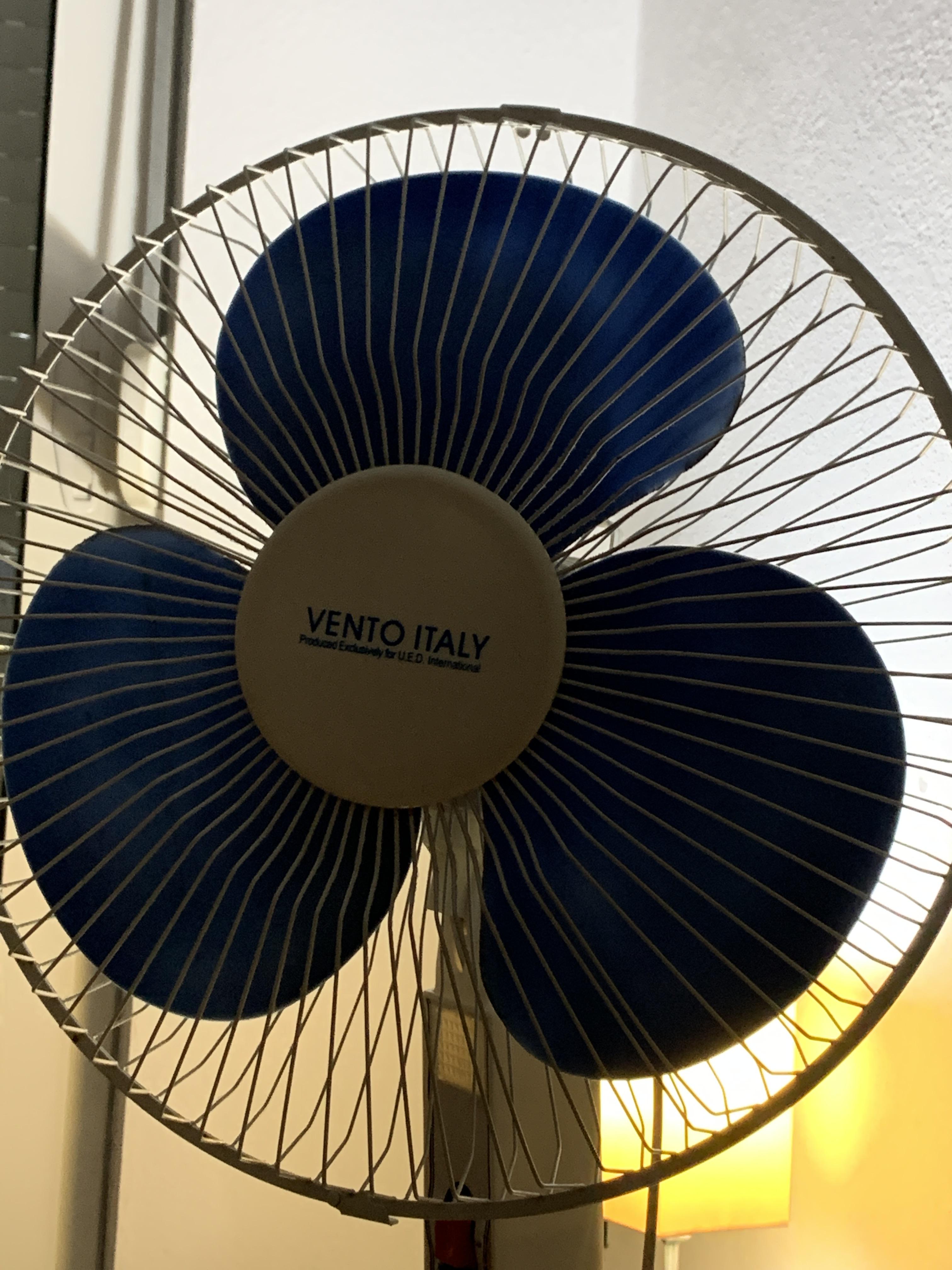 Italian fan | Scrolller