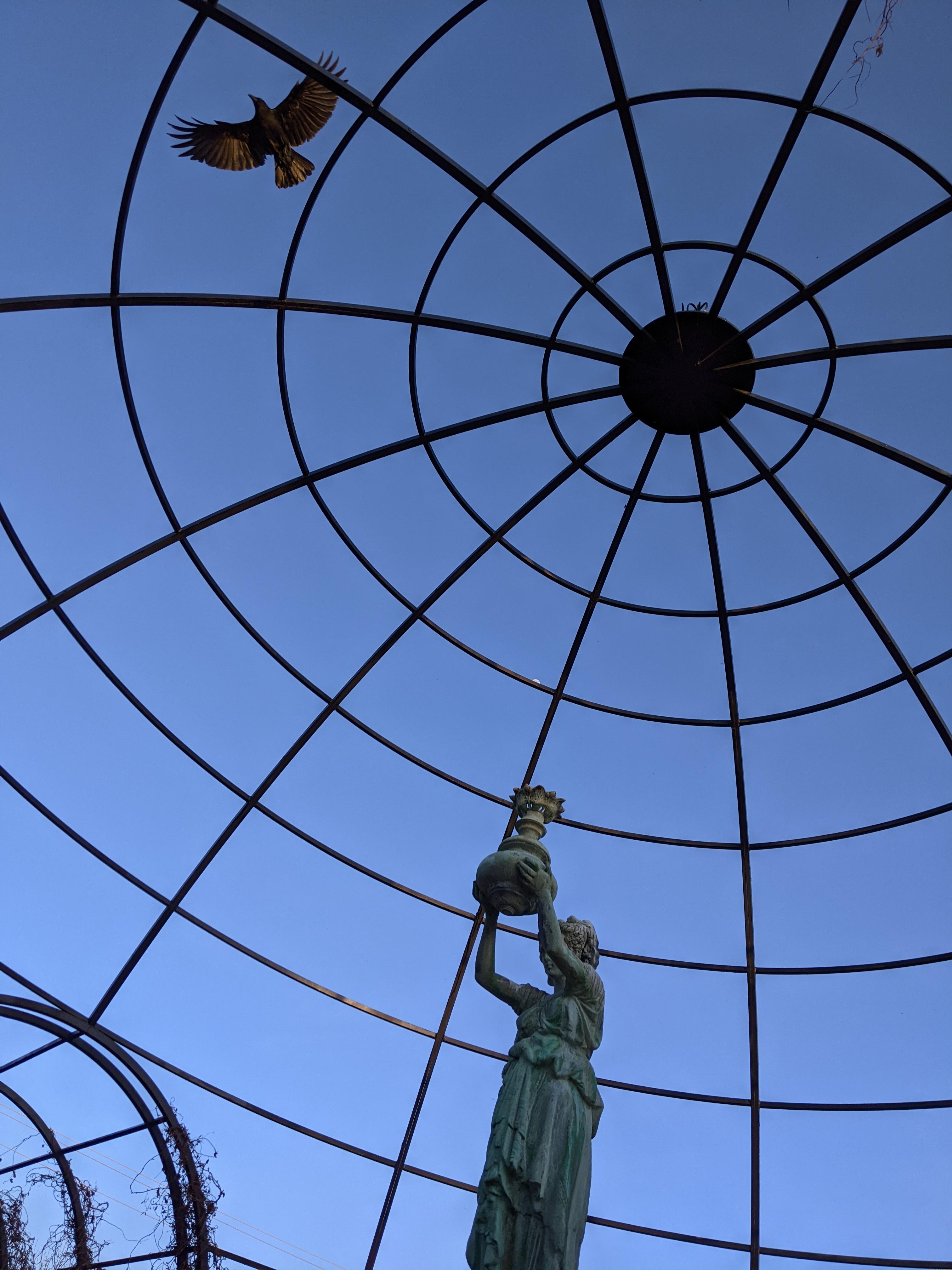 ITAP of a statue paying tribute to a crow. | Scrolller