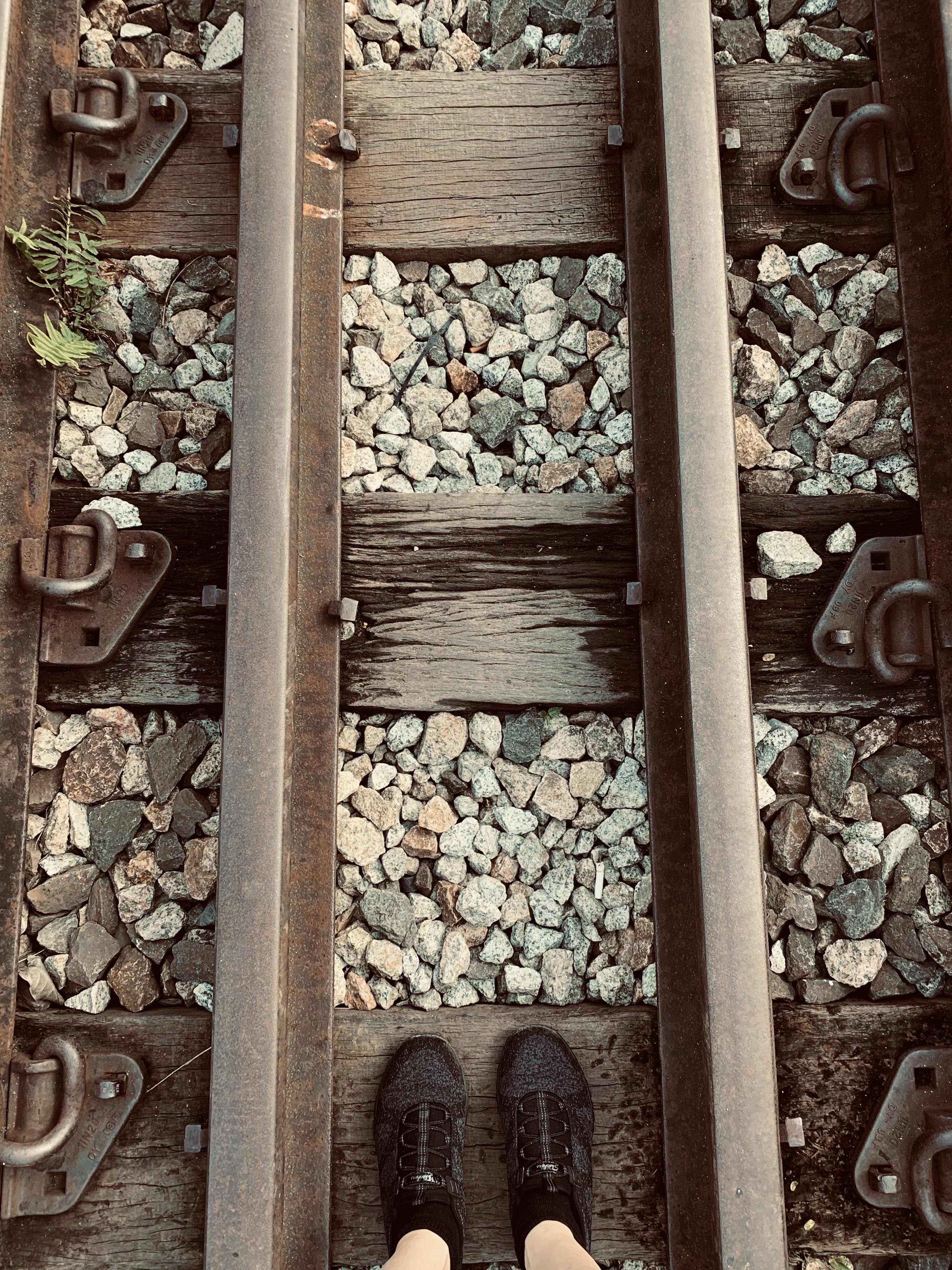 ITAP of an old railway track | Scrolller