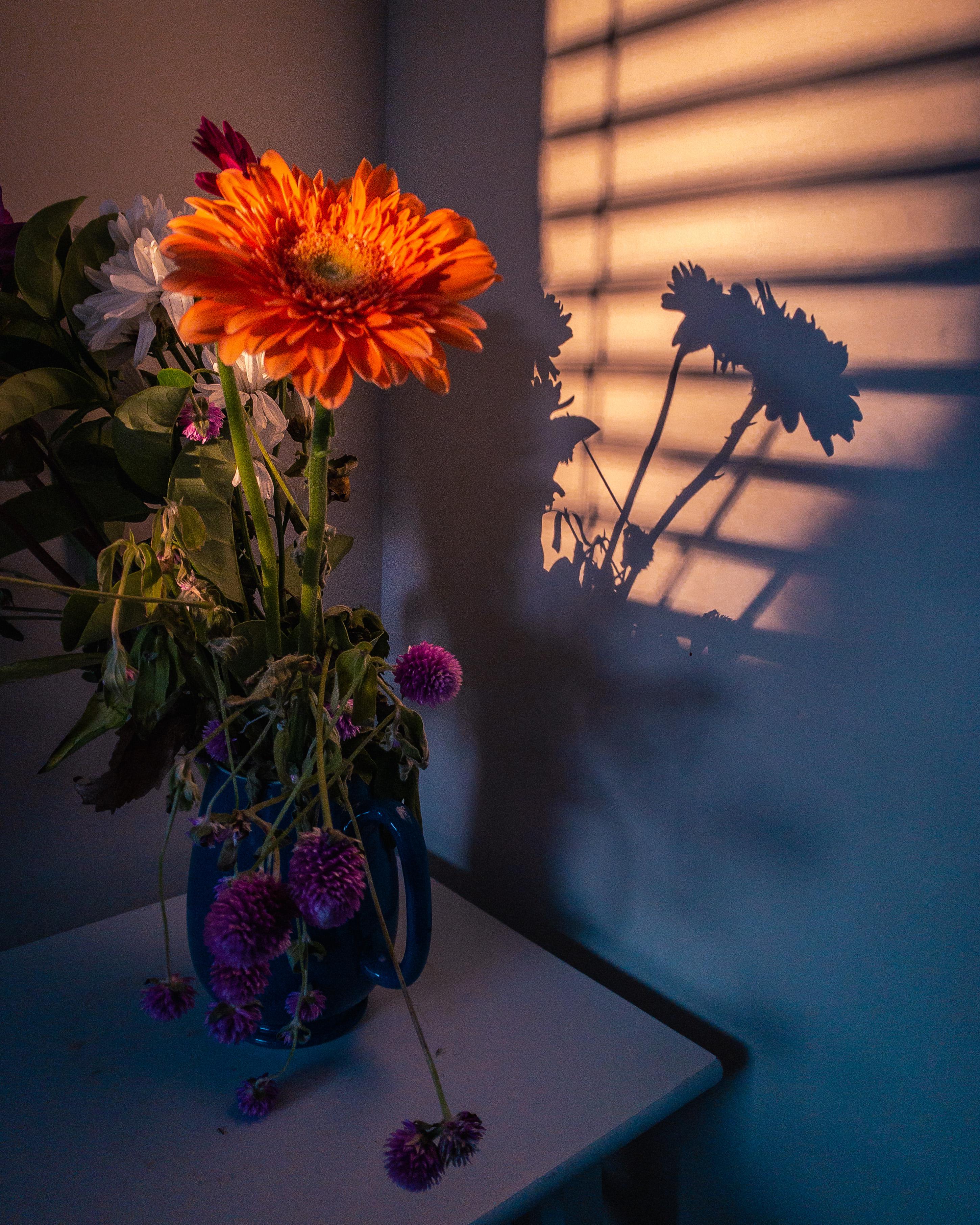 ITAP of some dying flowers | Scrolller