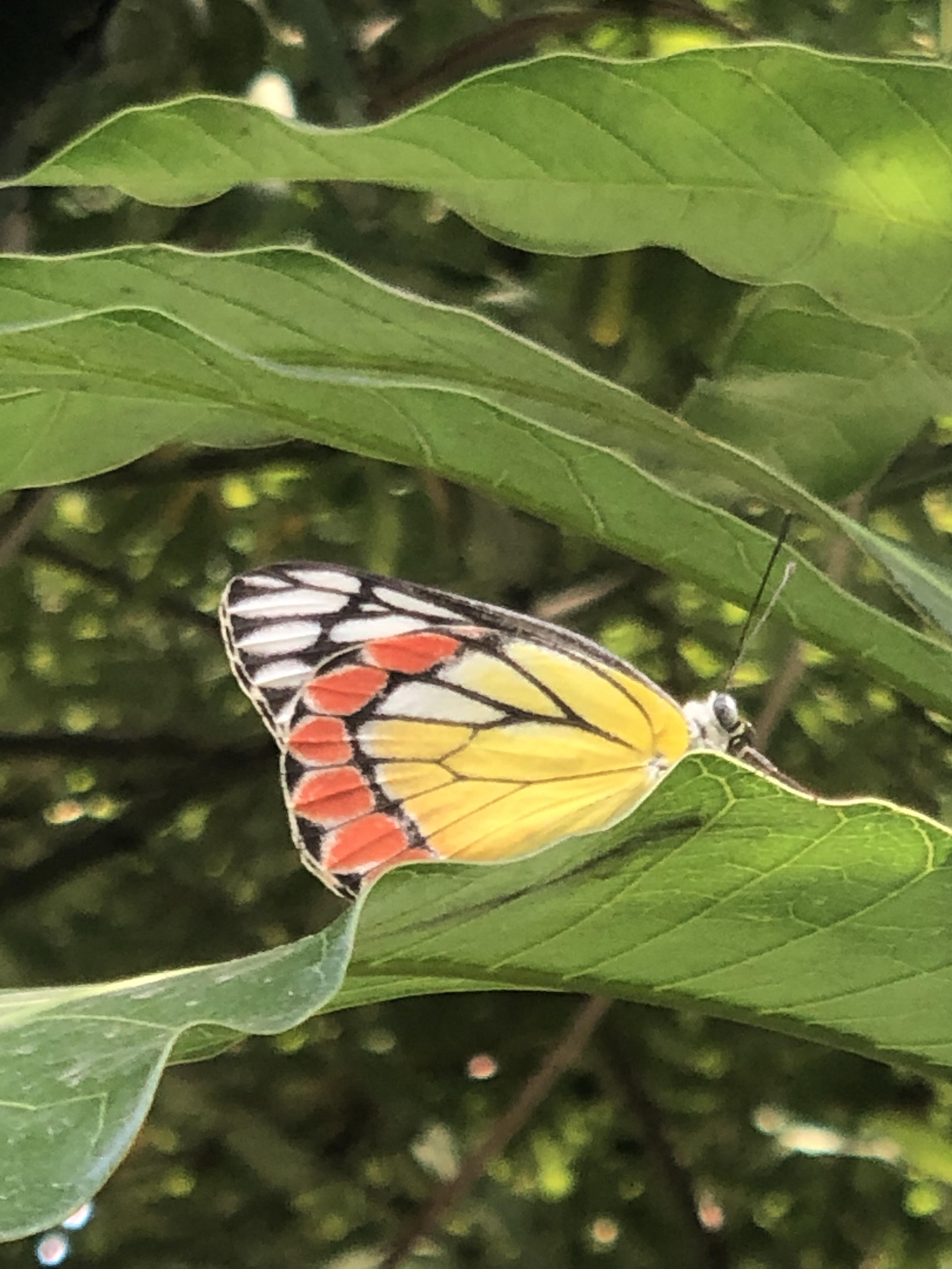 ITAP this boy chilling | Scrolller