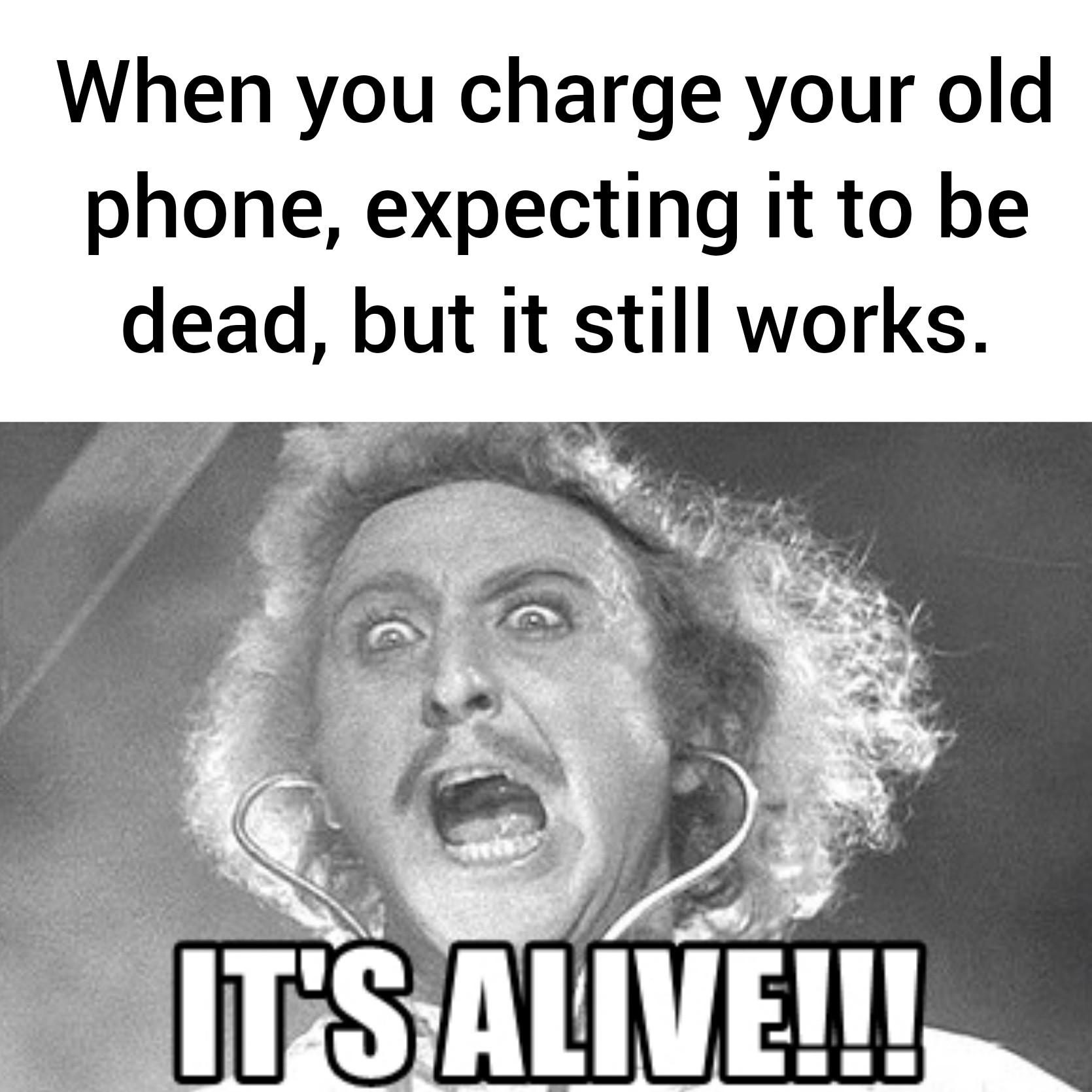 IT'S ALIVE! | Scrolller