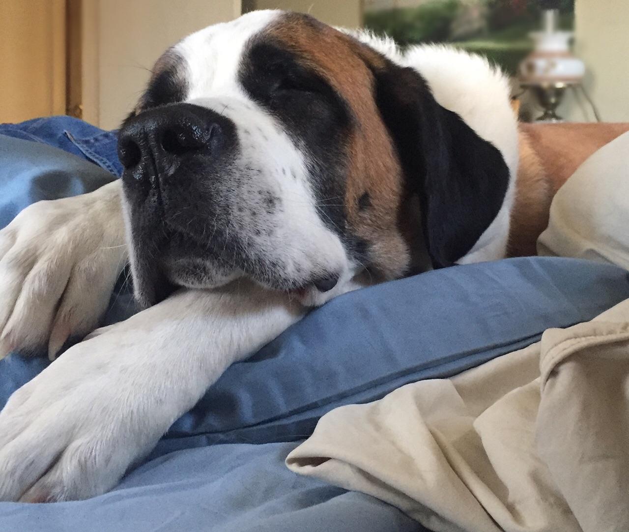 It's been quite a heatwave. | Scrolller