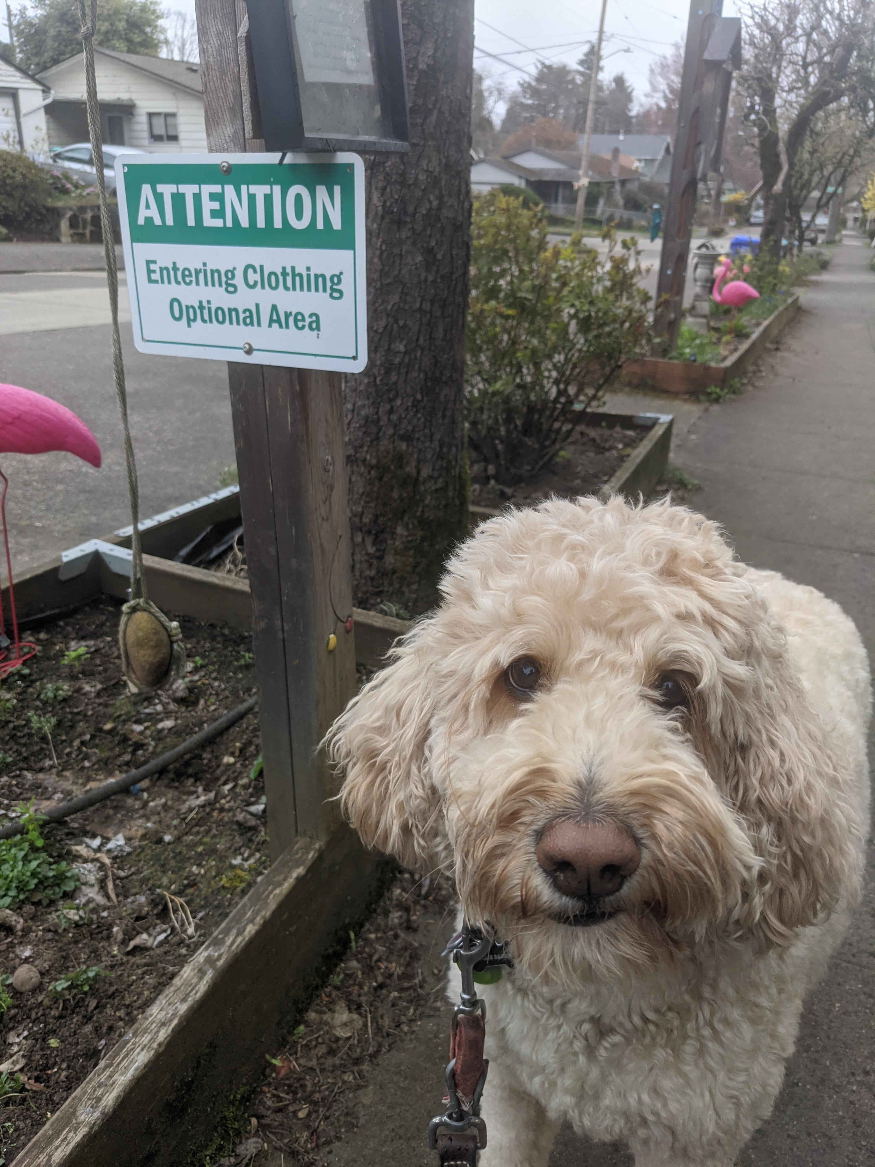 It's good to have options! | Scrolller