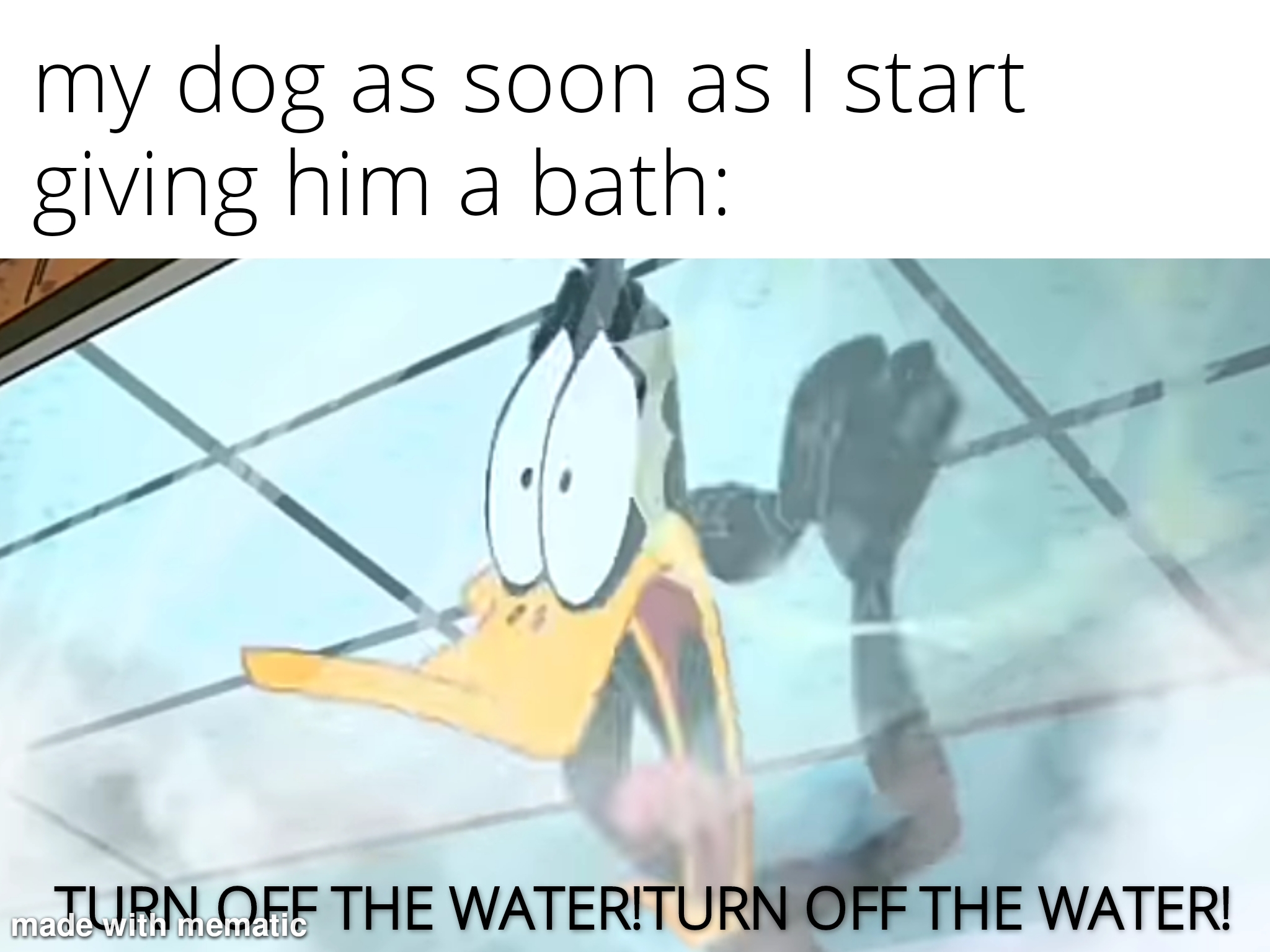 It's impossible | Scrolller