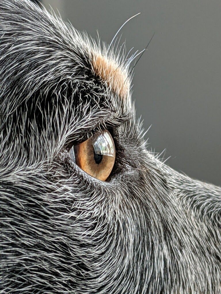 It's not a drawing! | Scrolller