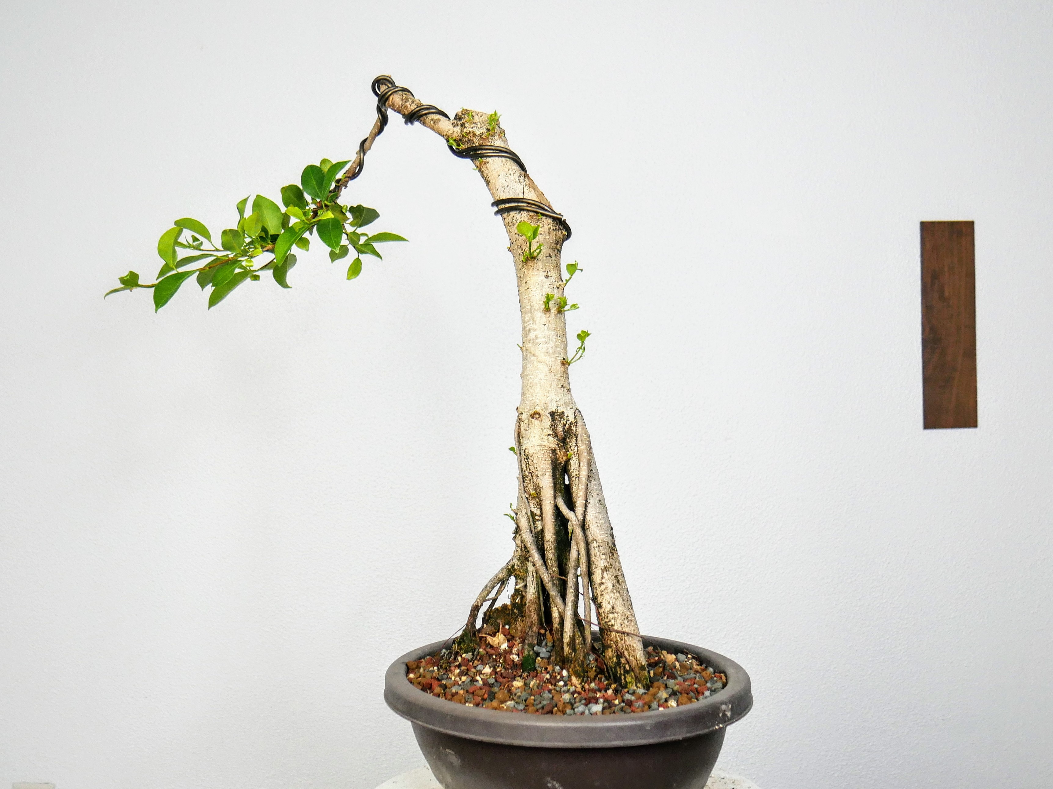 Its okay to be weird! | Scrolller