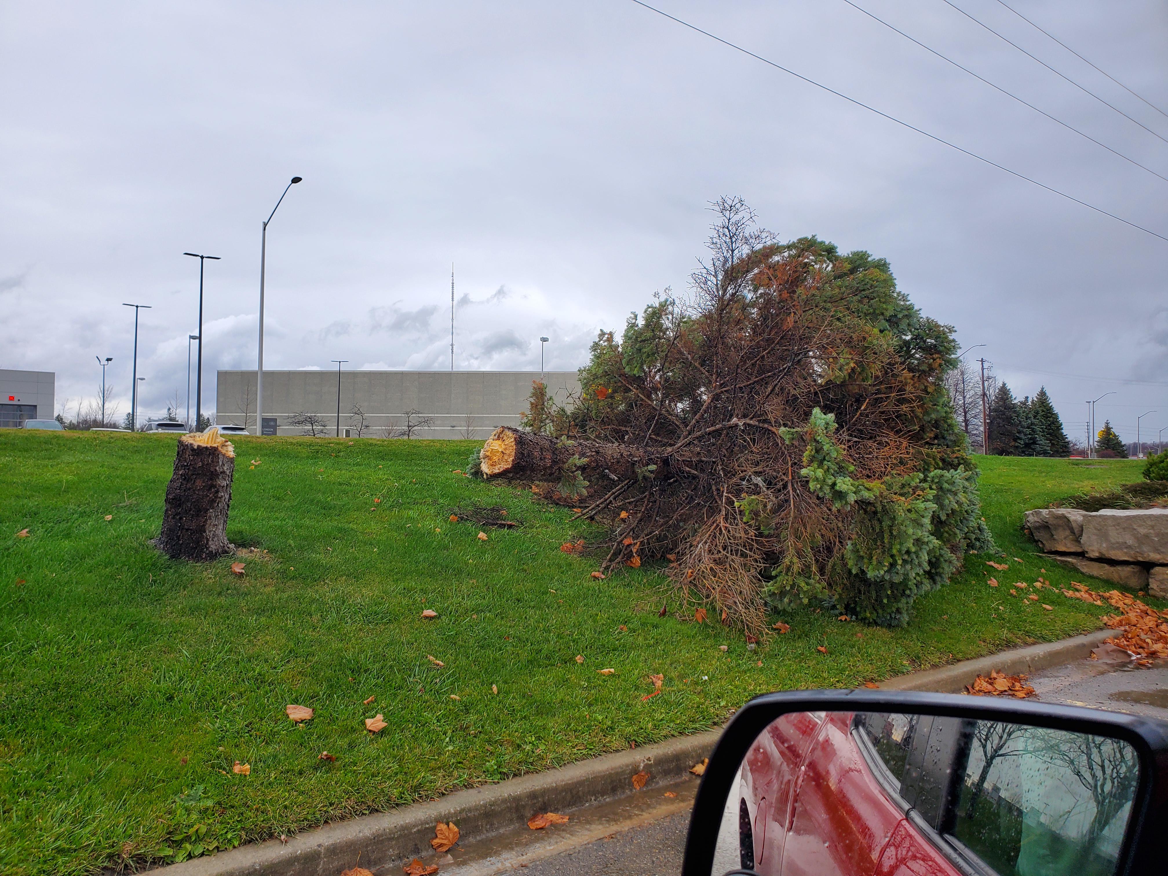 Its pretty windy | Scrolller