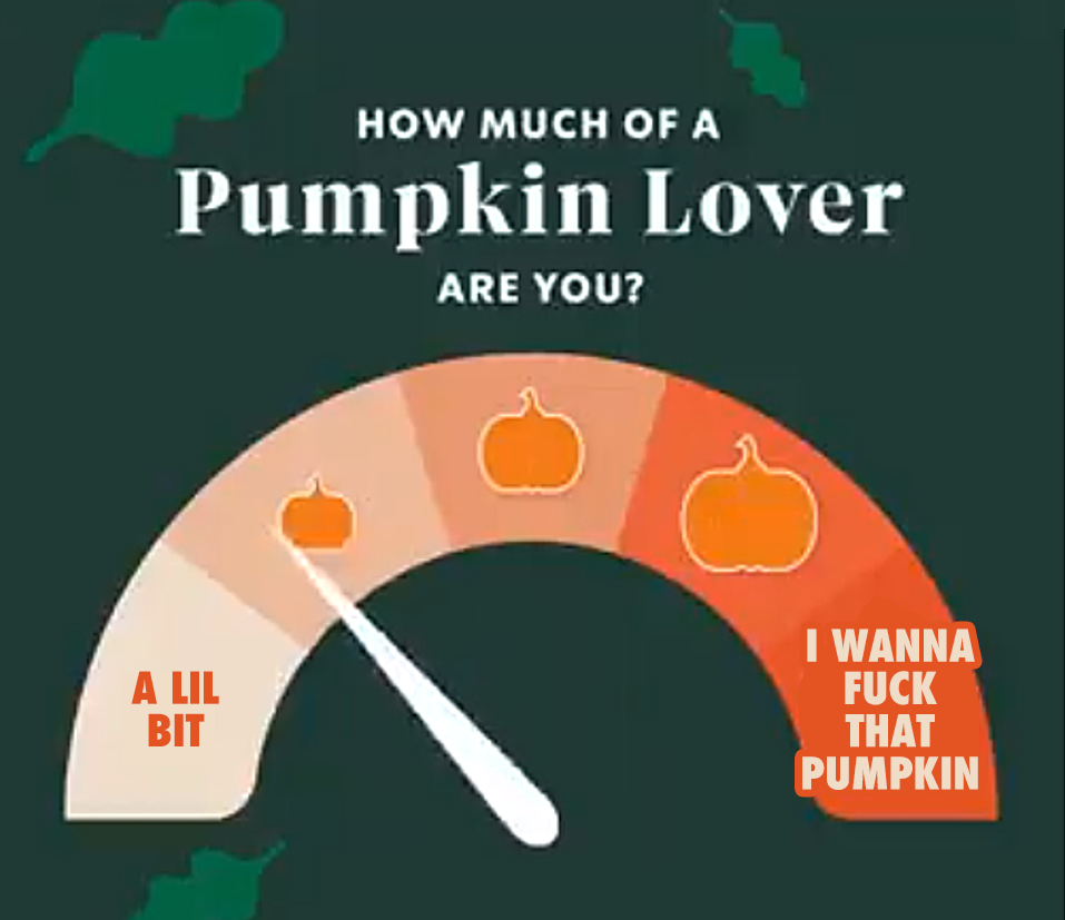 It's Pumpkin Spice Season! | Scrolller