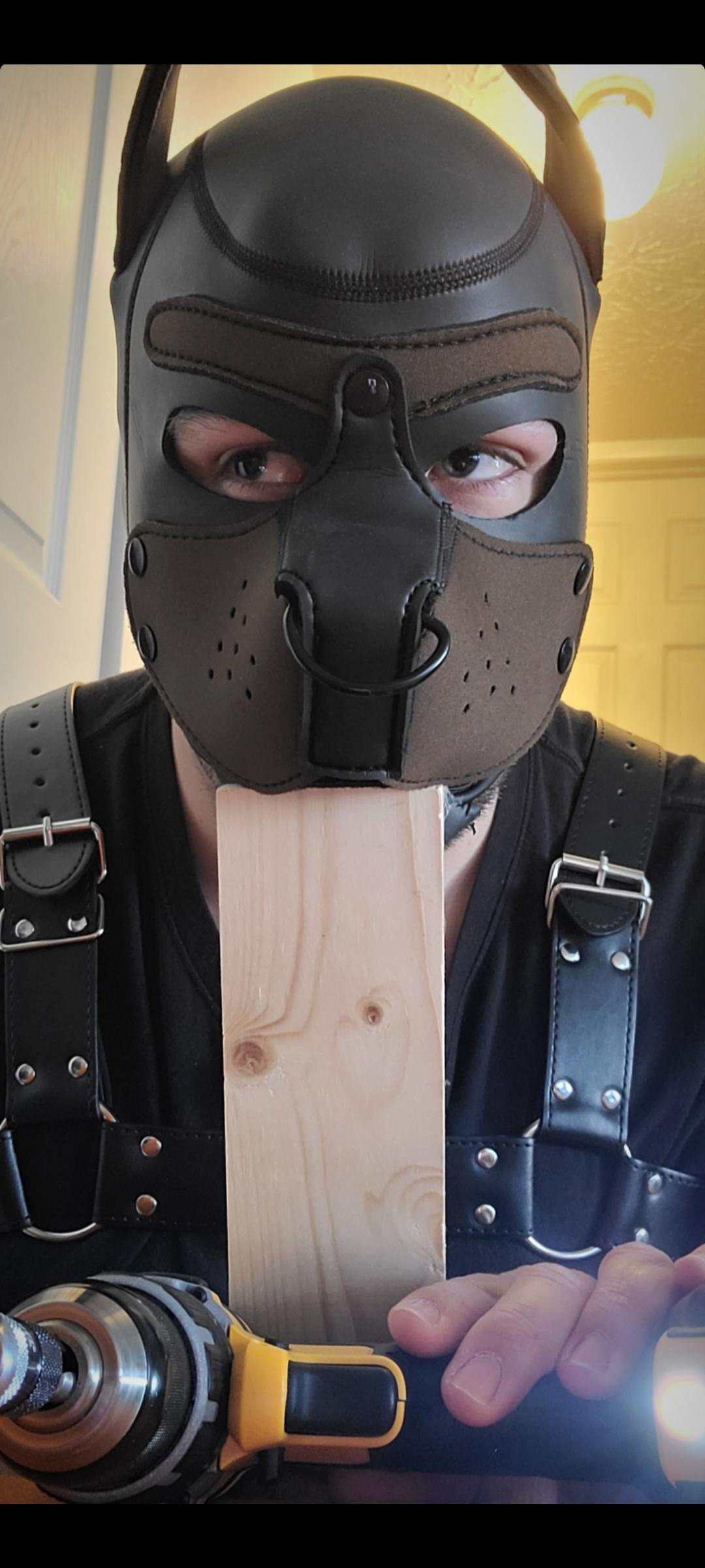 Carpenter Pup! | Scrolller