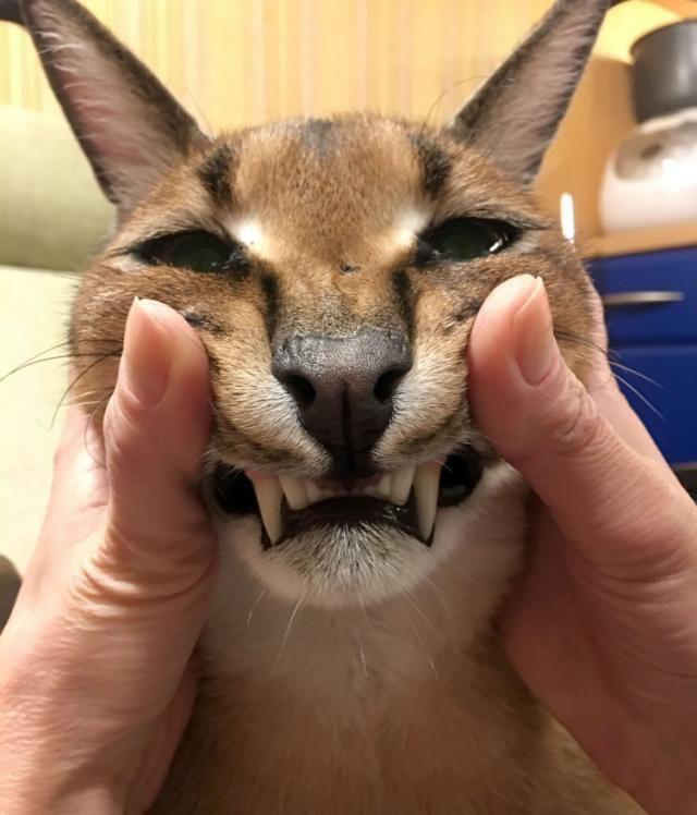 IWANTTOEXIST.bat | Scrolller