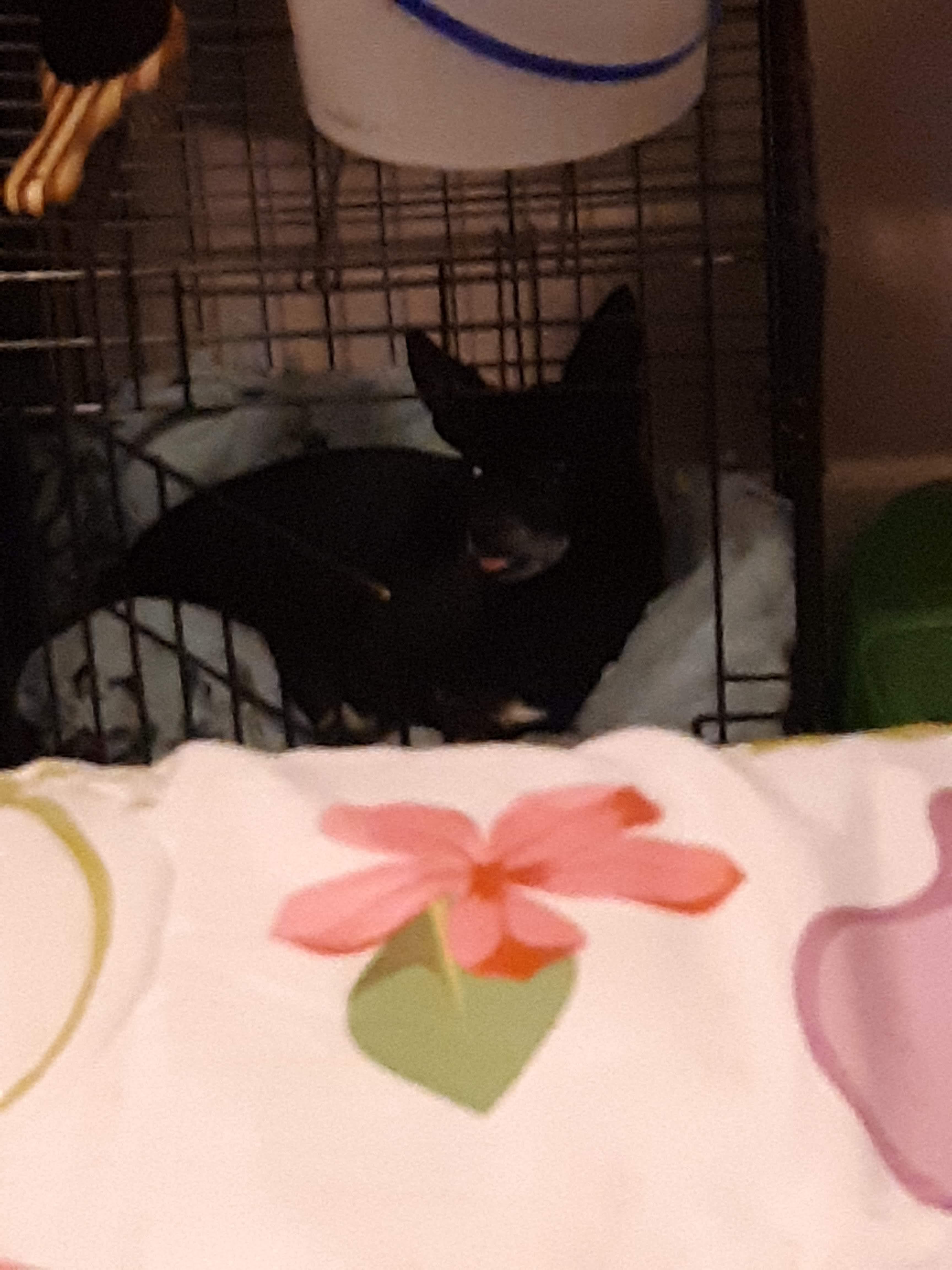 Jack do be chillin. | Scrolller