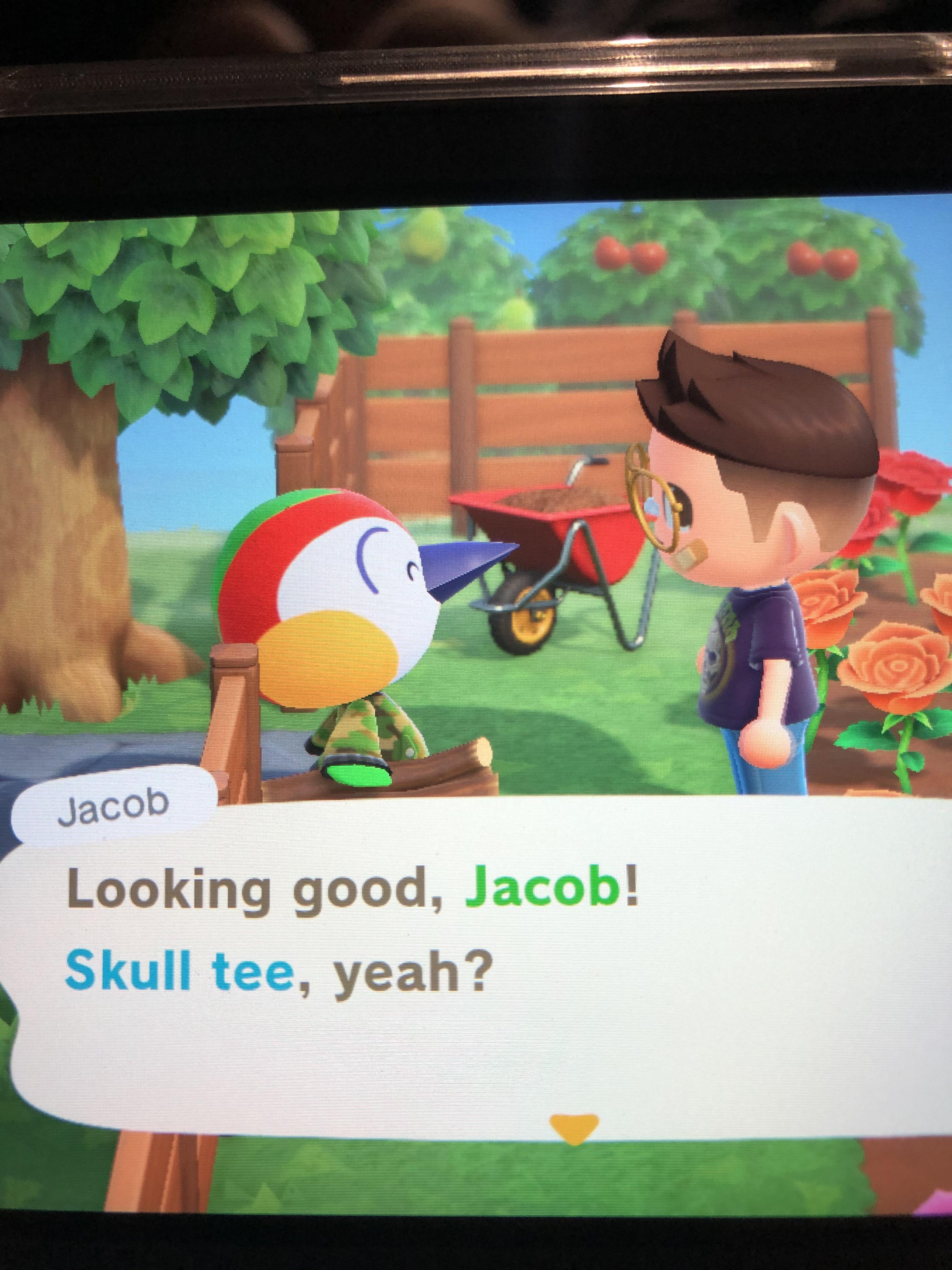 Jacob irl, Jacob in ACNH | Scrolller