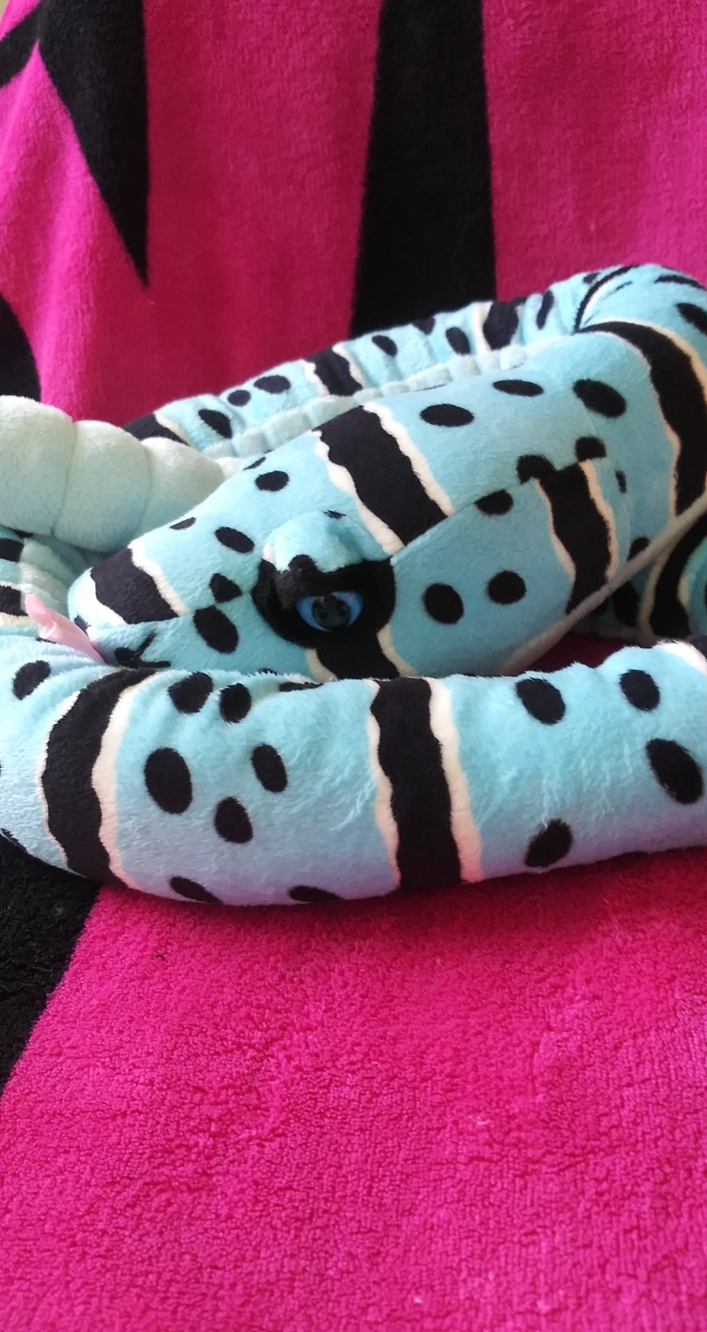 Jafar might look fierce but he's a sweet little shy guy 🐍💙 | Scrolller