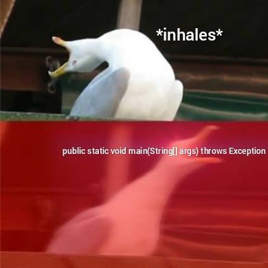 Java programmers be like: | Scrolller