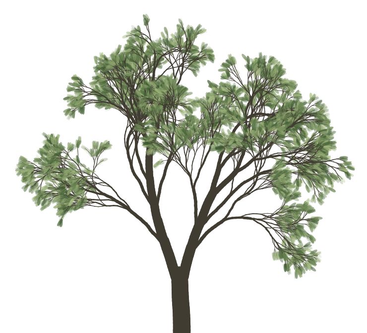 Javascript 2d Tree Generation Link In Comments Scrolller