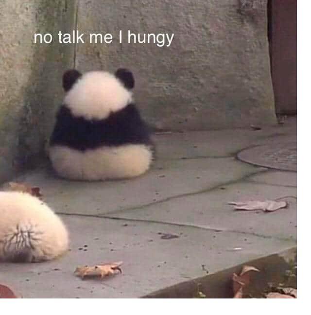 Jeannie when it's time to record a video | Scrolller