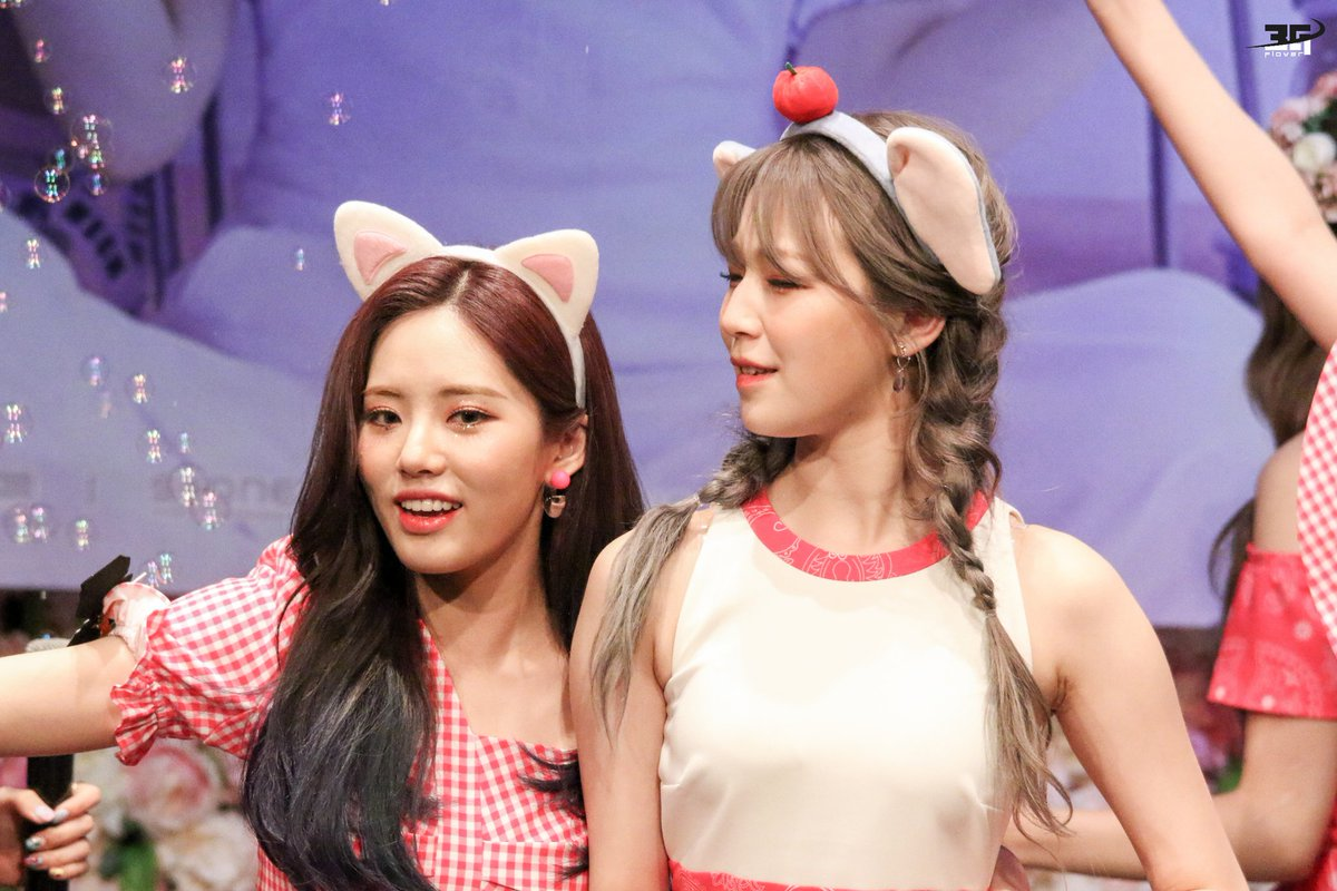 Jiheon judging Jiwon | Scrolller