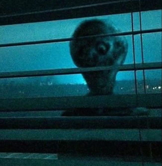 Jim from the office but [Redacted] | Scrolller