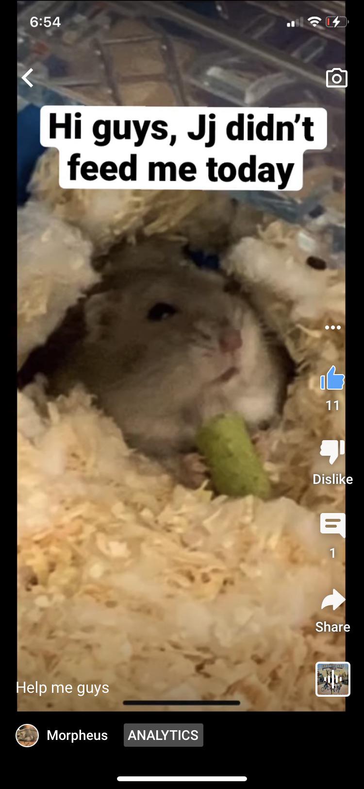 Jj, feed Morpheus… | Scrolller