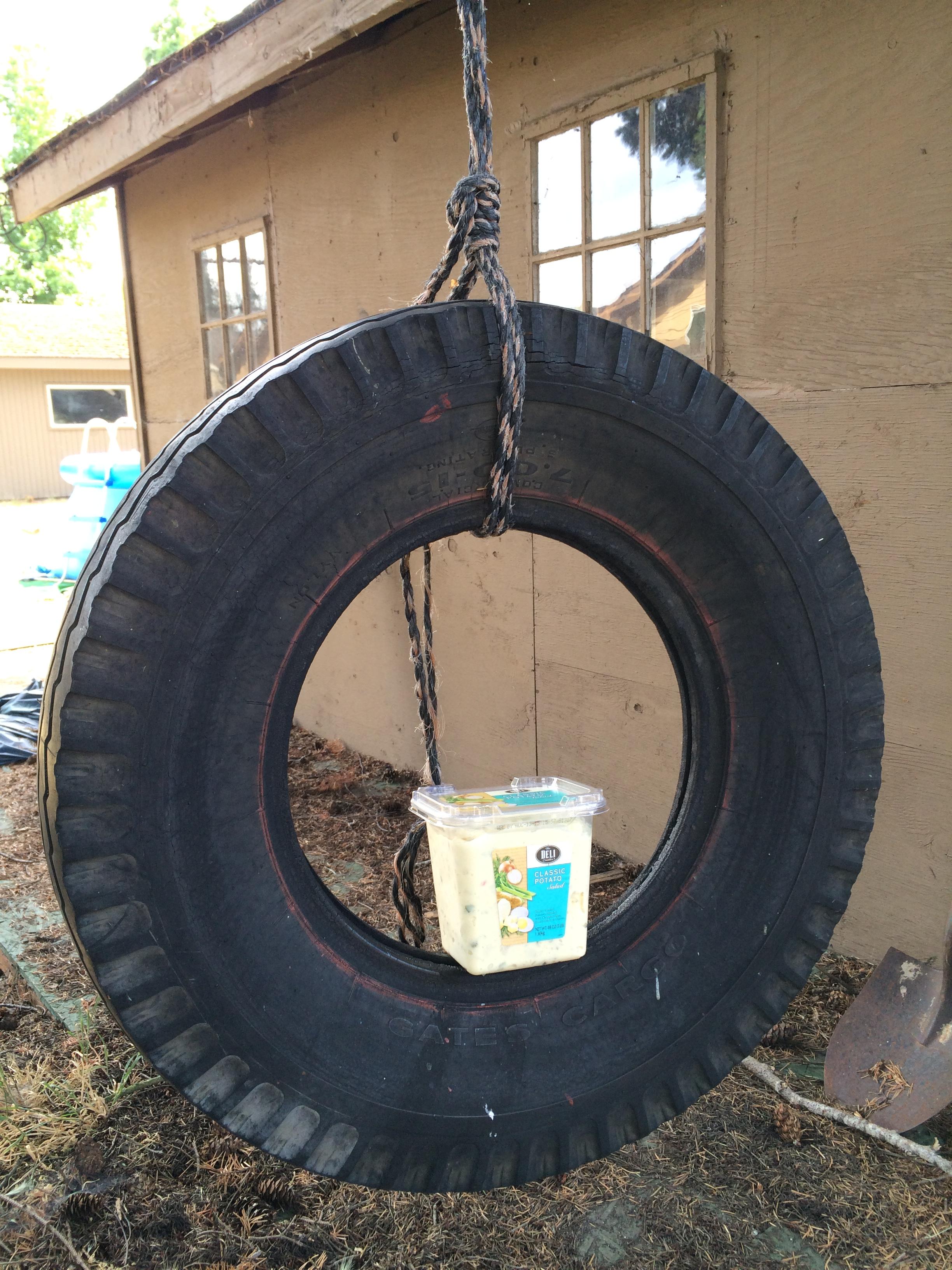 John Cena enjoying himself on a tire swing. | Scrolller