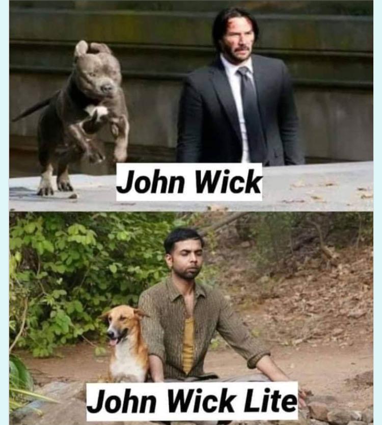 John Wick lite | Scrolller