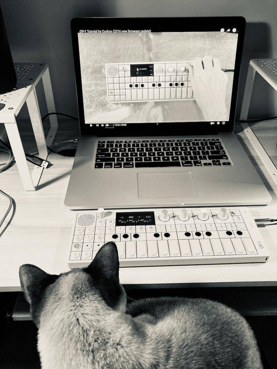 Joined the club last week. Bless Cuckoo | Scrolller