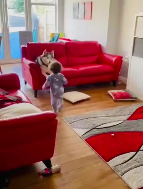 Joyful moment with True friend | Scrolller