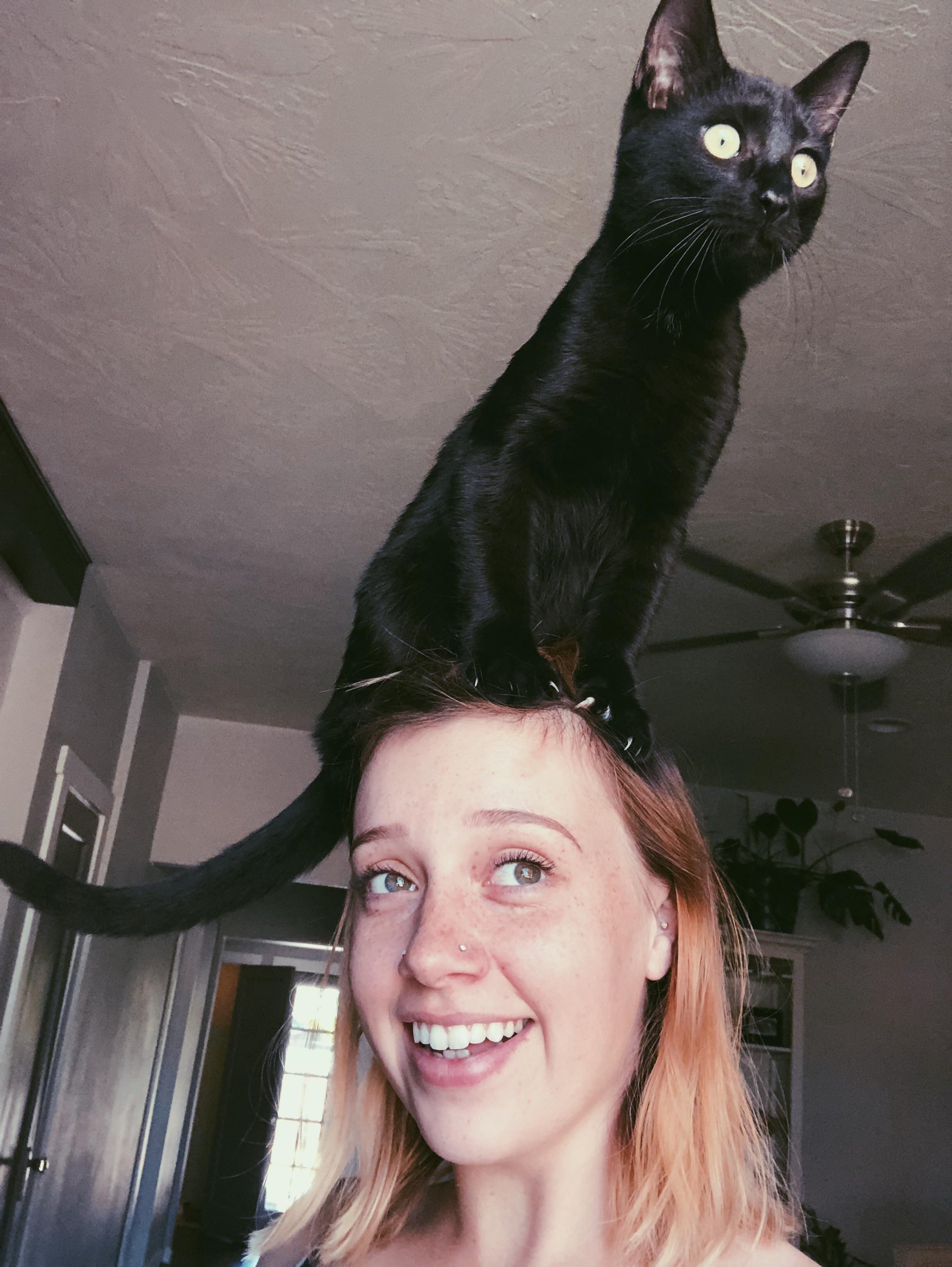 Juniper wanted a better look out the window | Scrolller