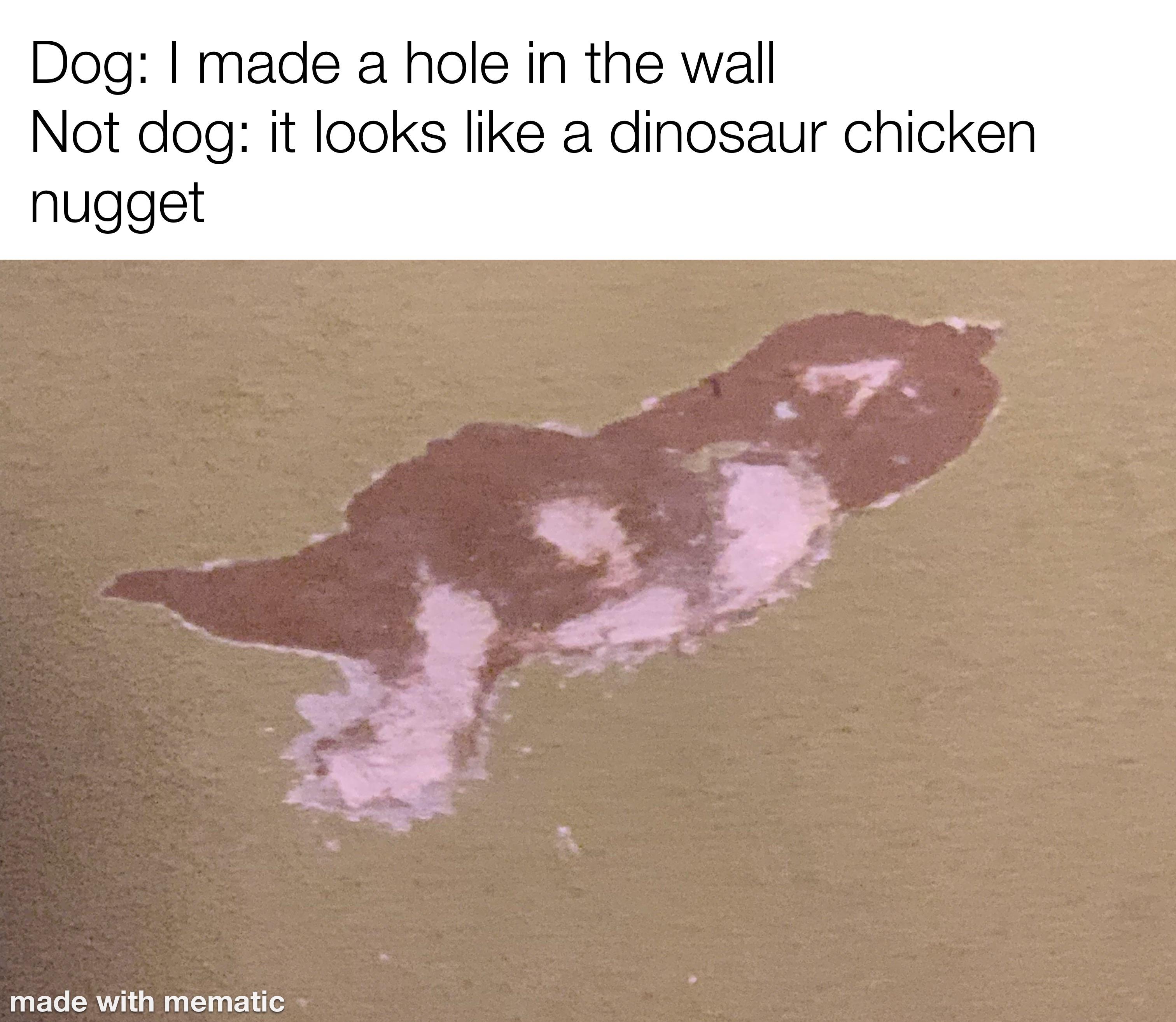 Jurassic Bark | Scrolller