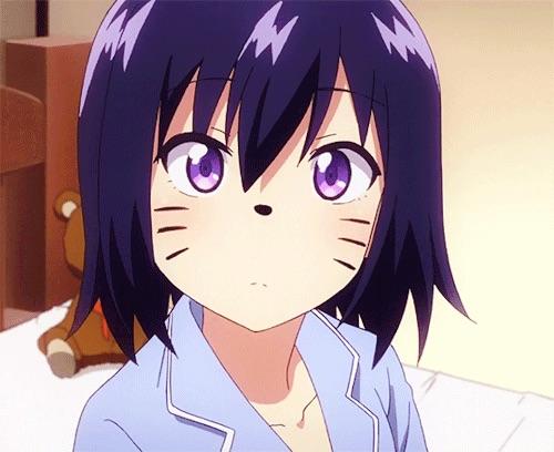 Just a cute Neko Vigne | Scrolller