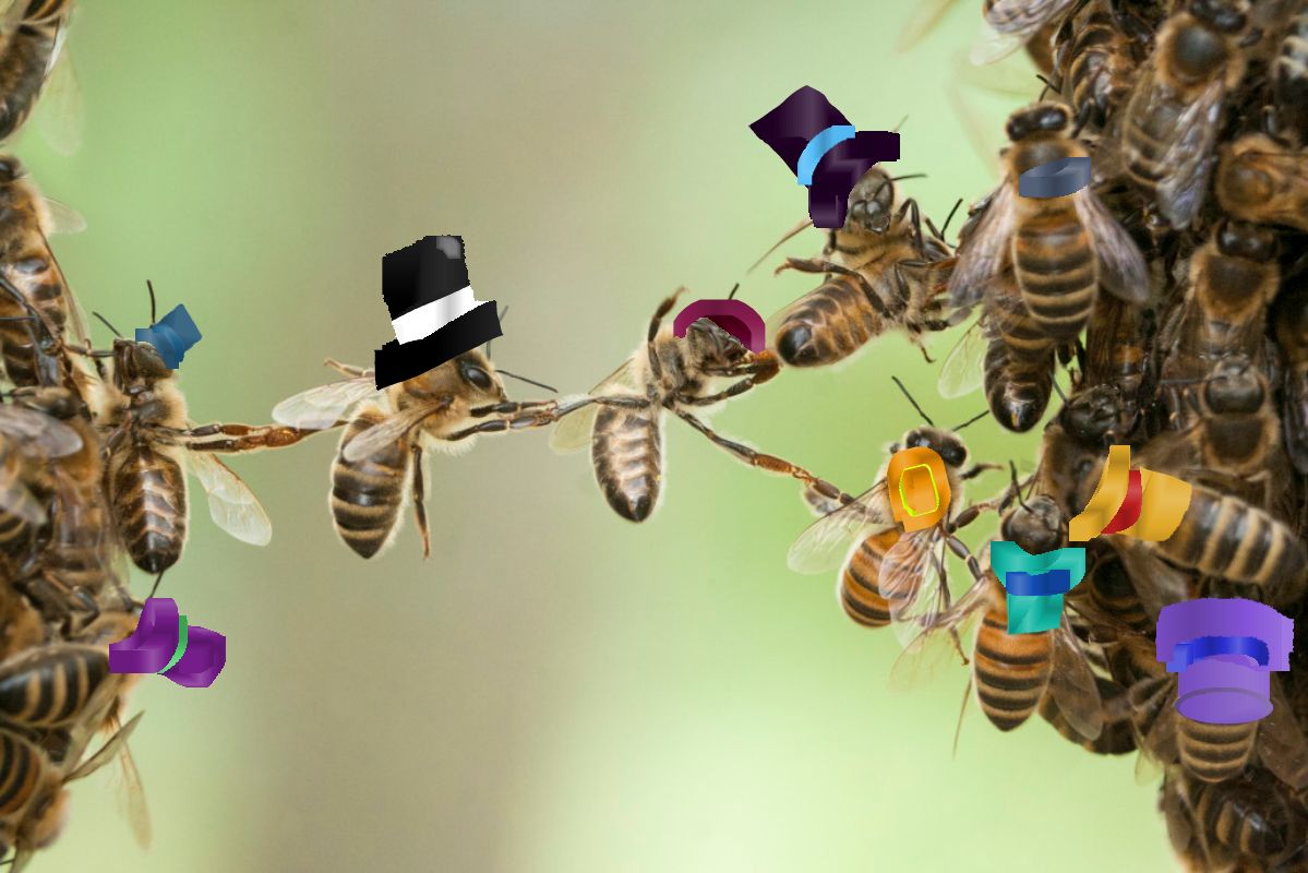 Just a normal Hive Meeting | Scrolller