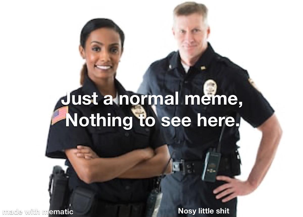 Just a normal meme nothing to see here. | Scrolller
