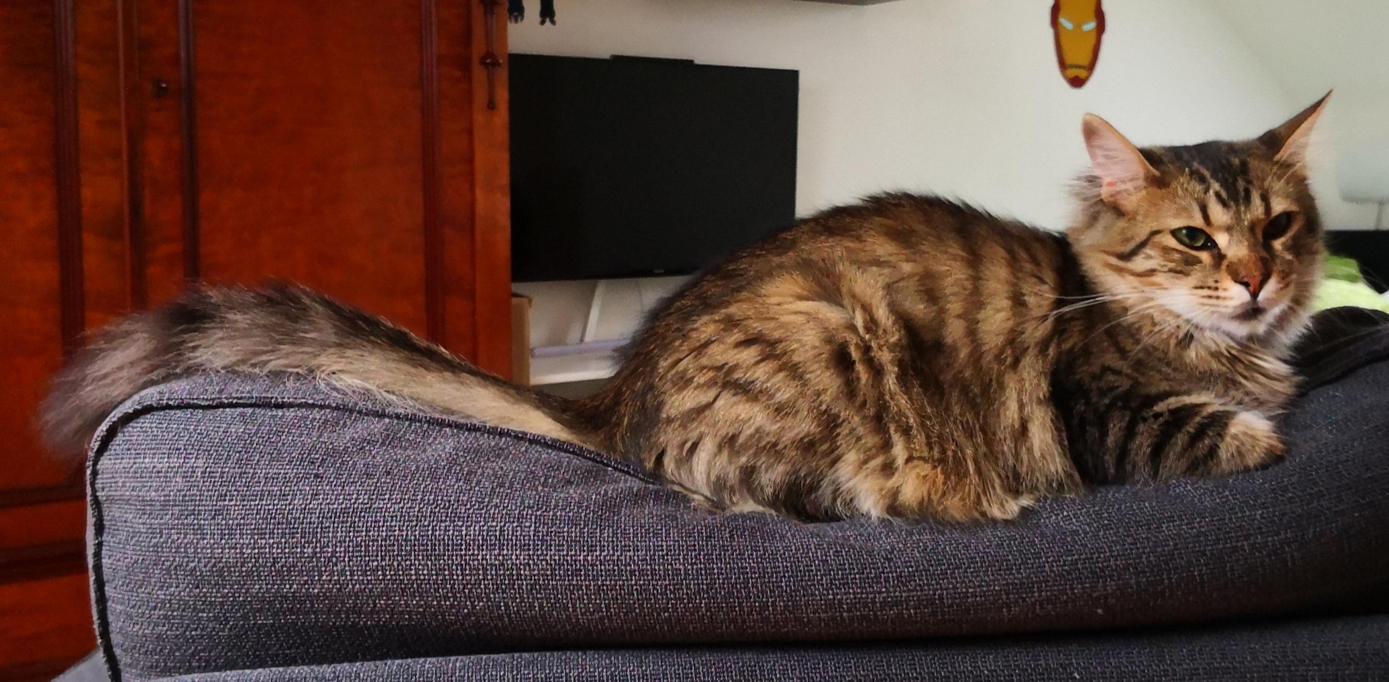 Just a perfect Loaf | Scrolller