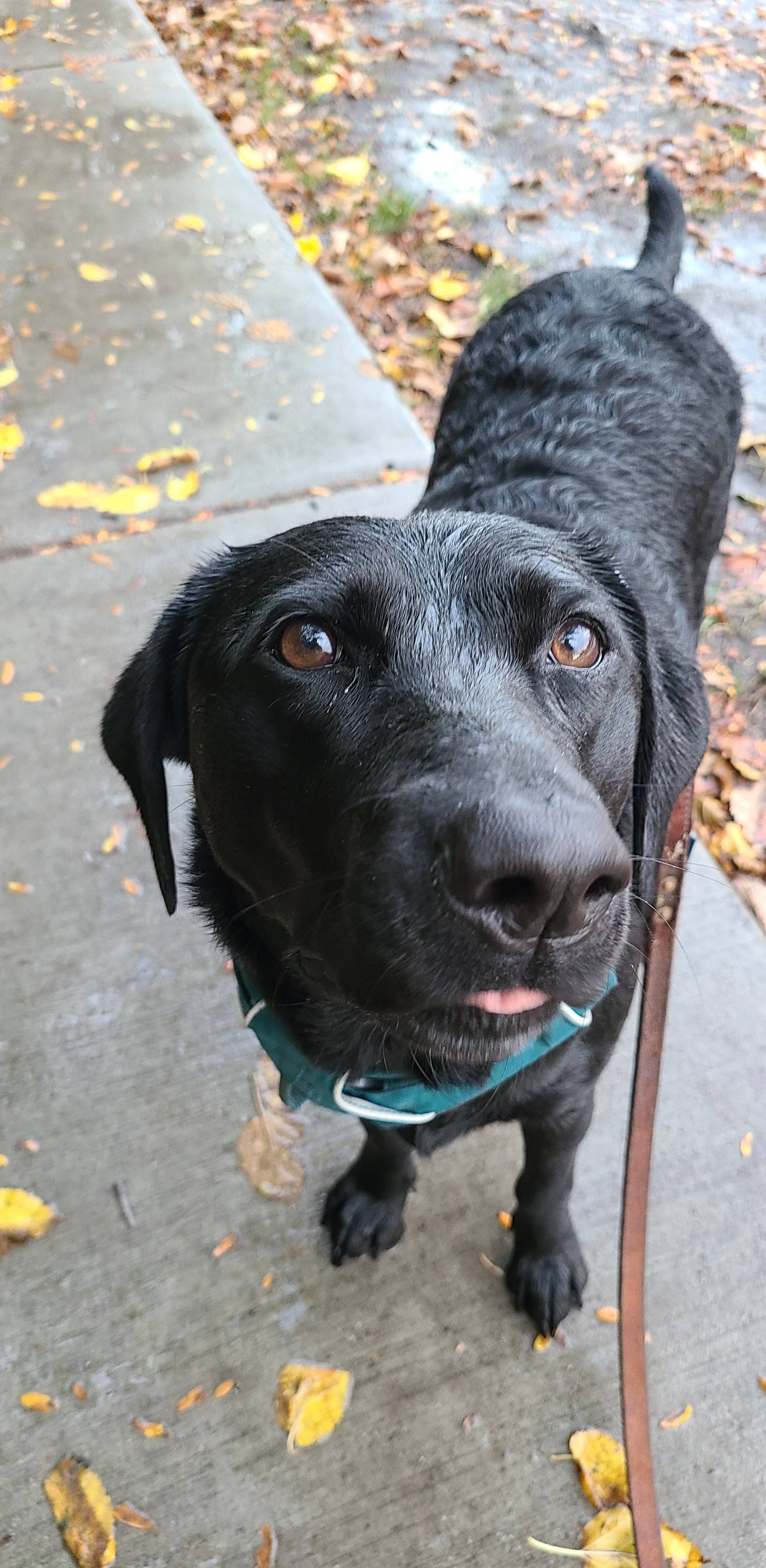 Just a rainy mlep | Scrolller